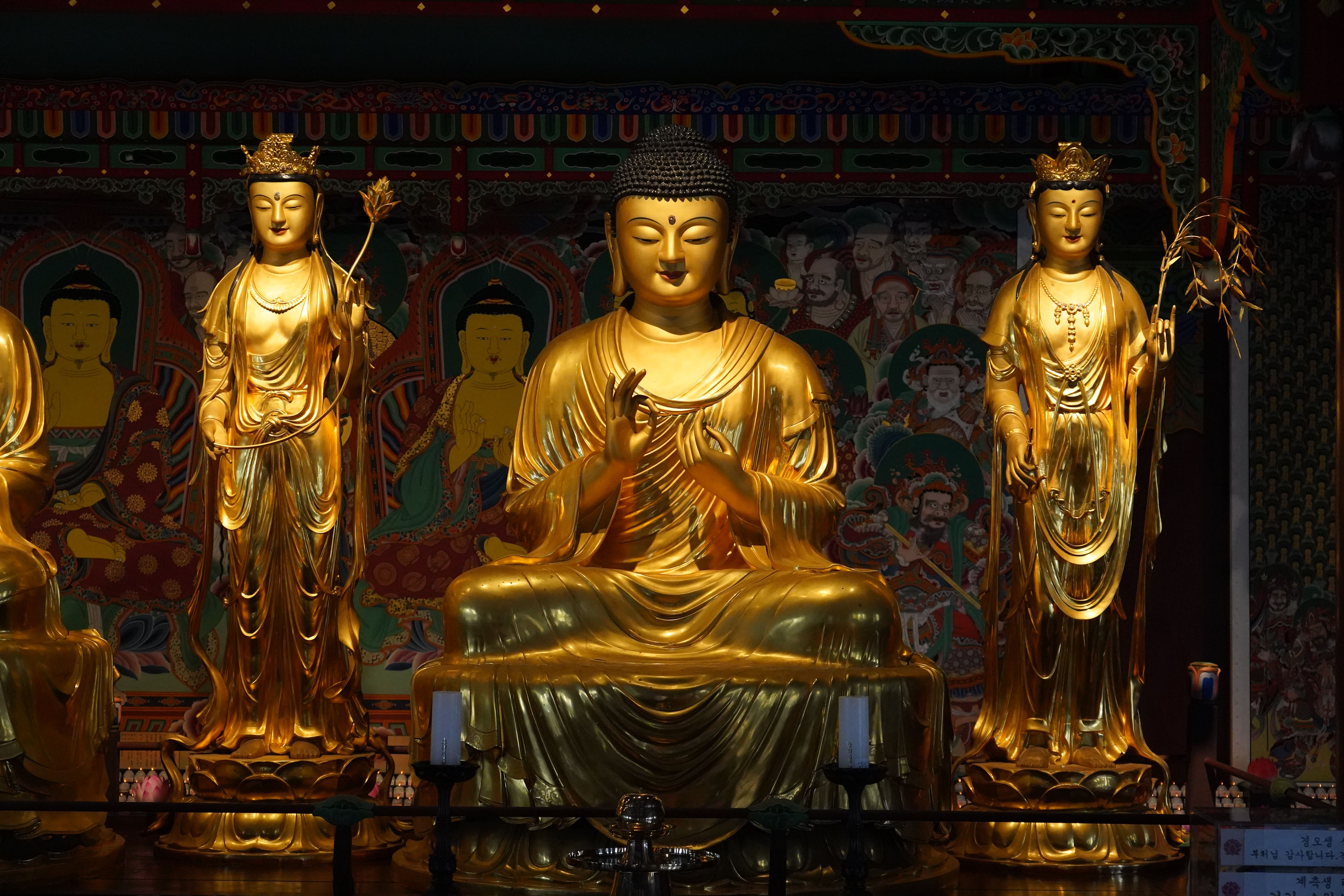 Enlightenment Buddha Photos Download The Best Free Enlightenment