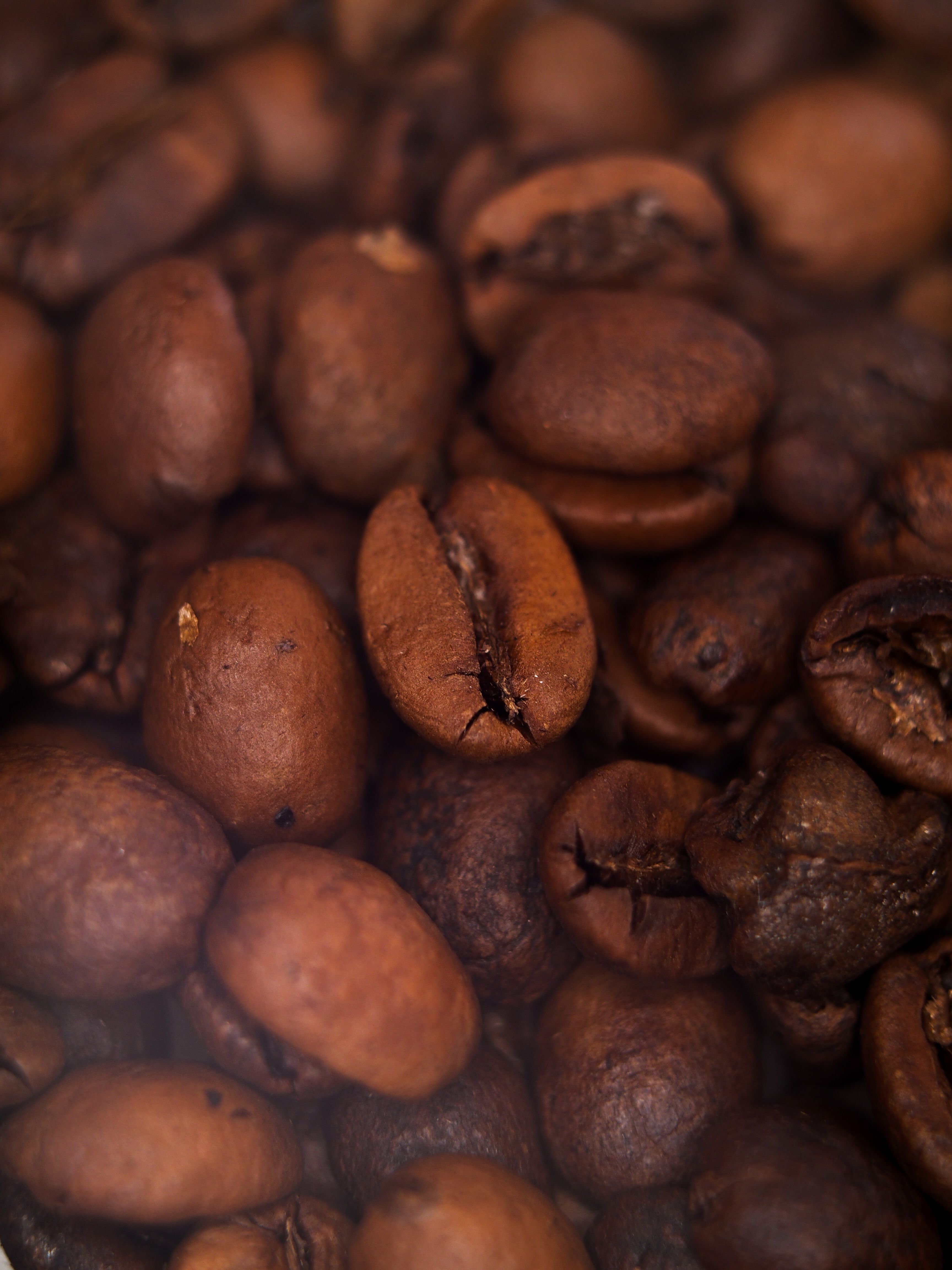 Nature Coffee Shop Photos, Download The BEST Free Nature Coffee Shop ...
