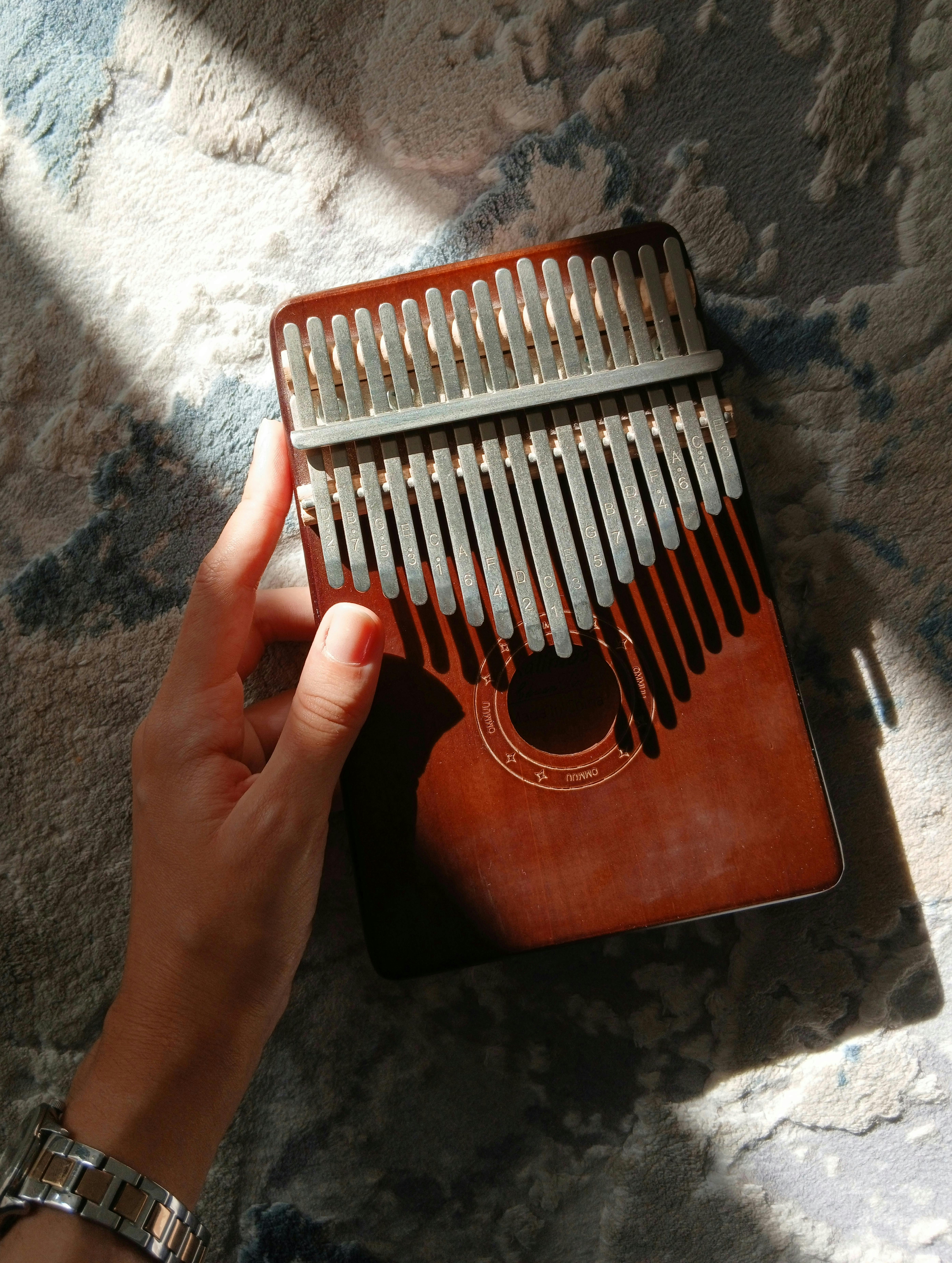 Instrument Close Up Photos, Download The BEST Free Instrument Close Up ...