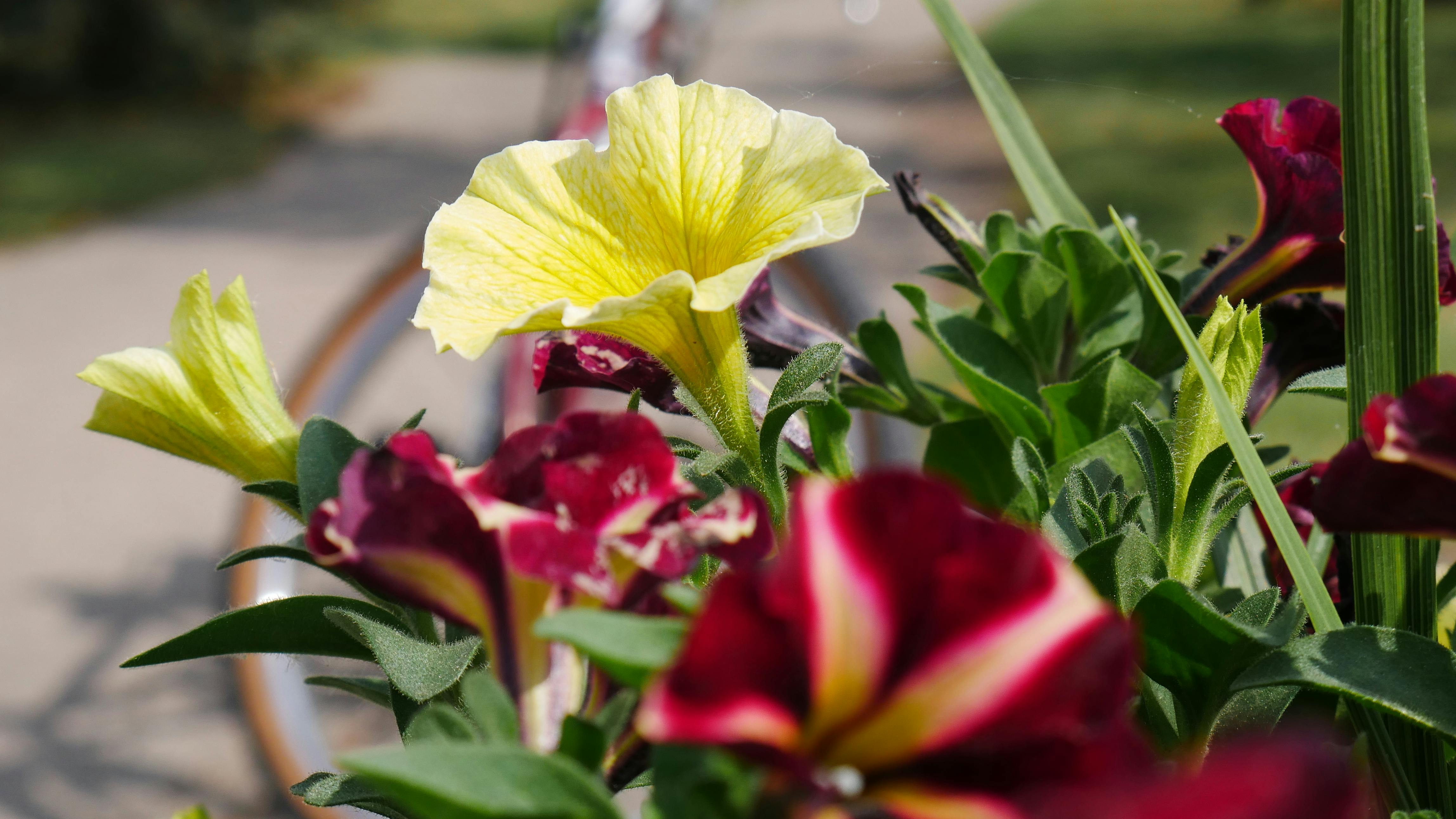 Les Miller - Photography