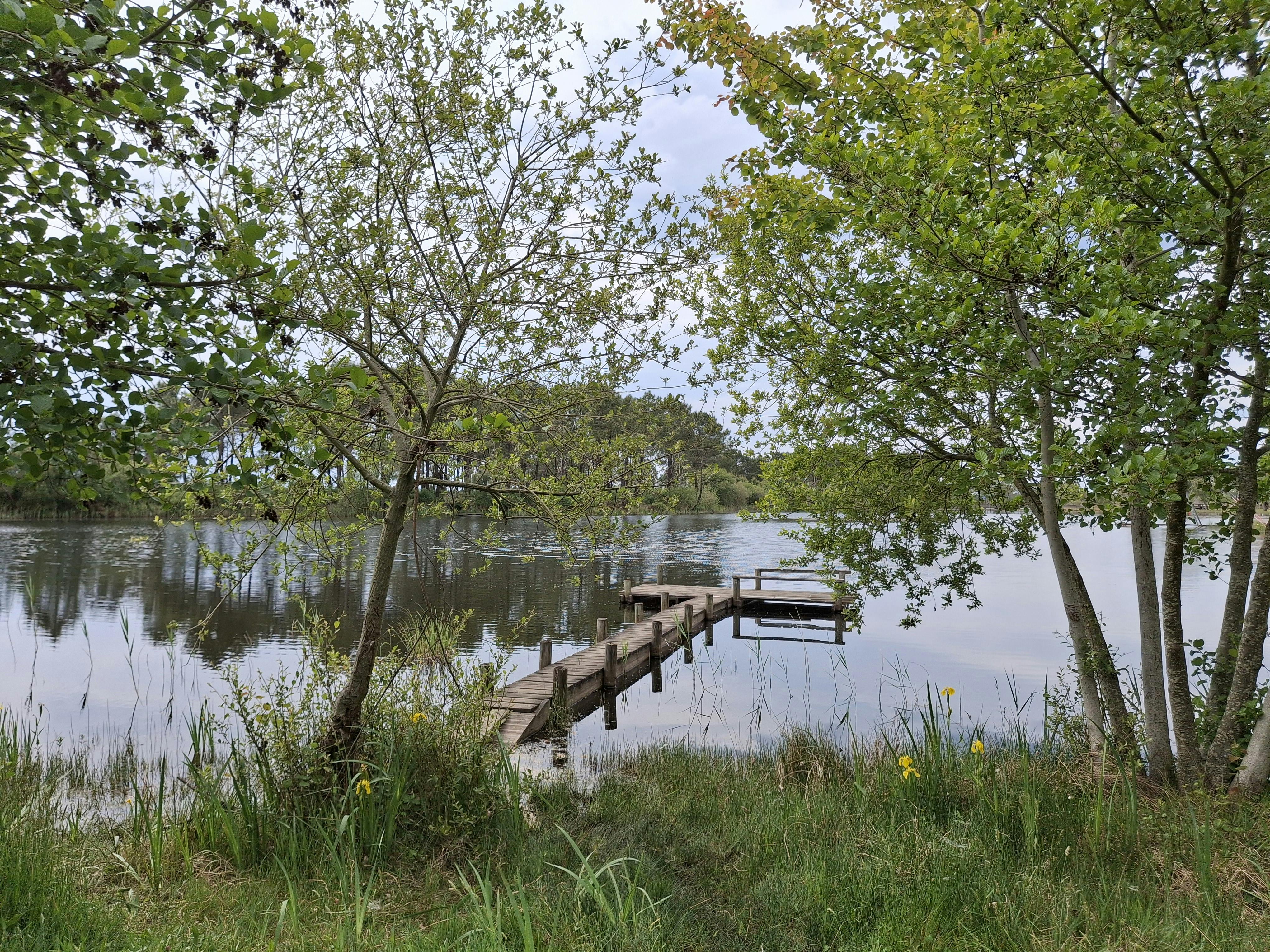 Springtime Escape Photos, Download The BEST Free Springtime Escape ...