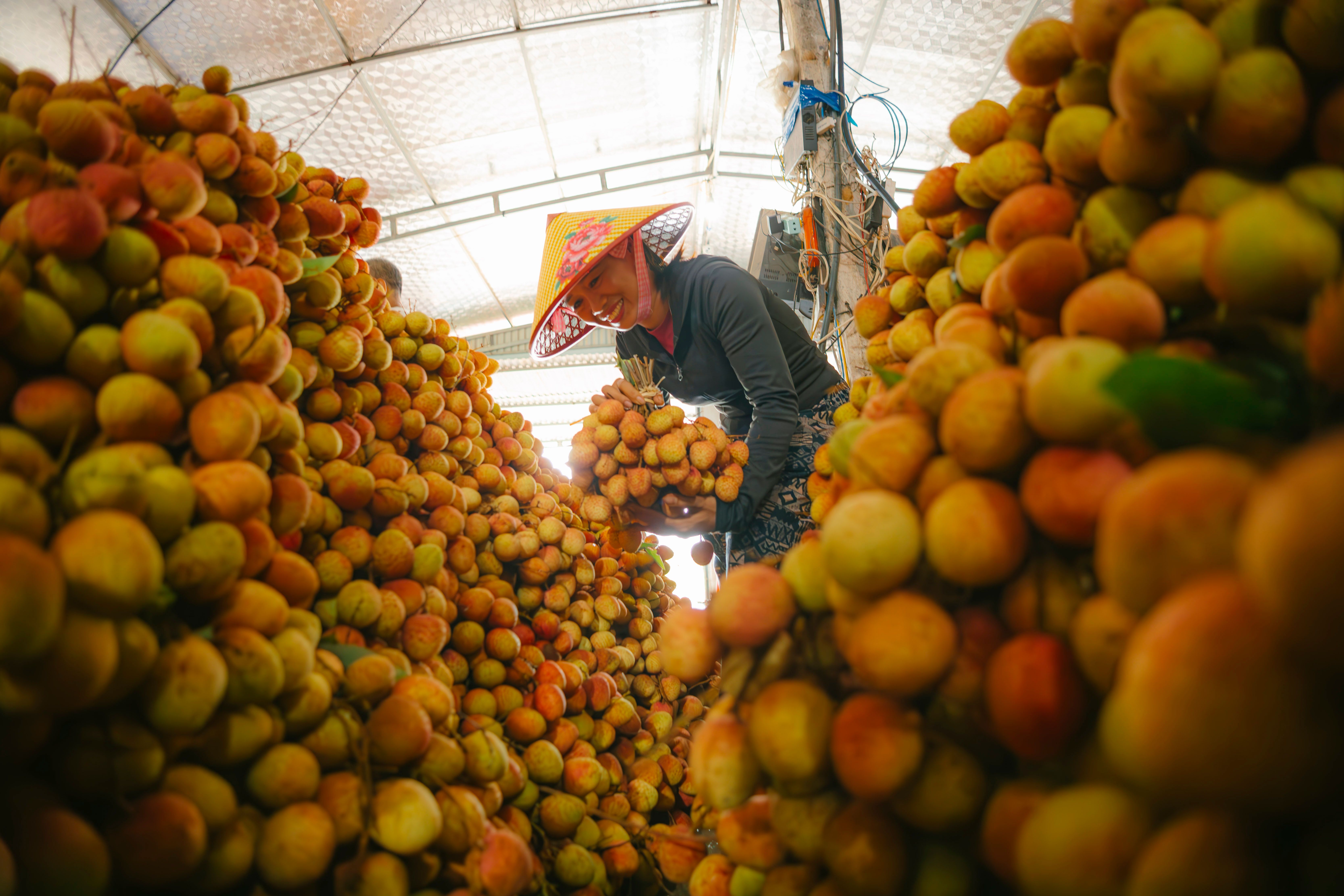 Food Export Photos, Download The BEST Free Food Export Stock Photos ...
