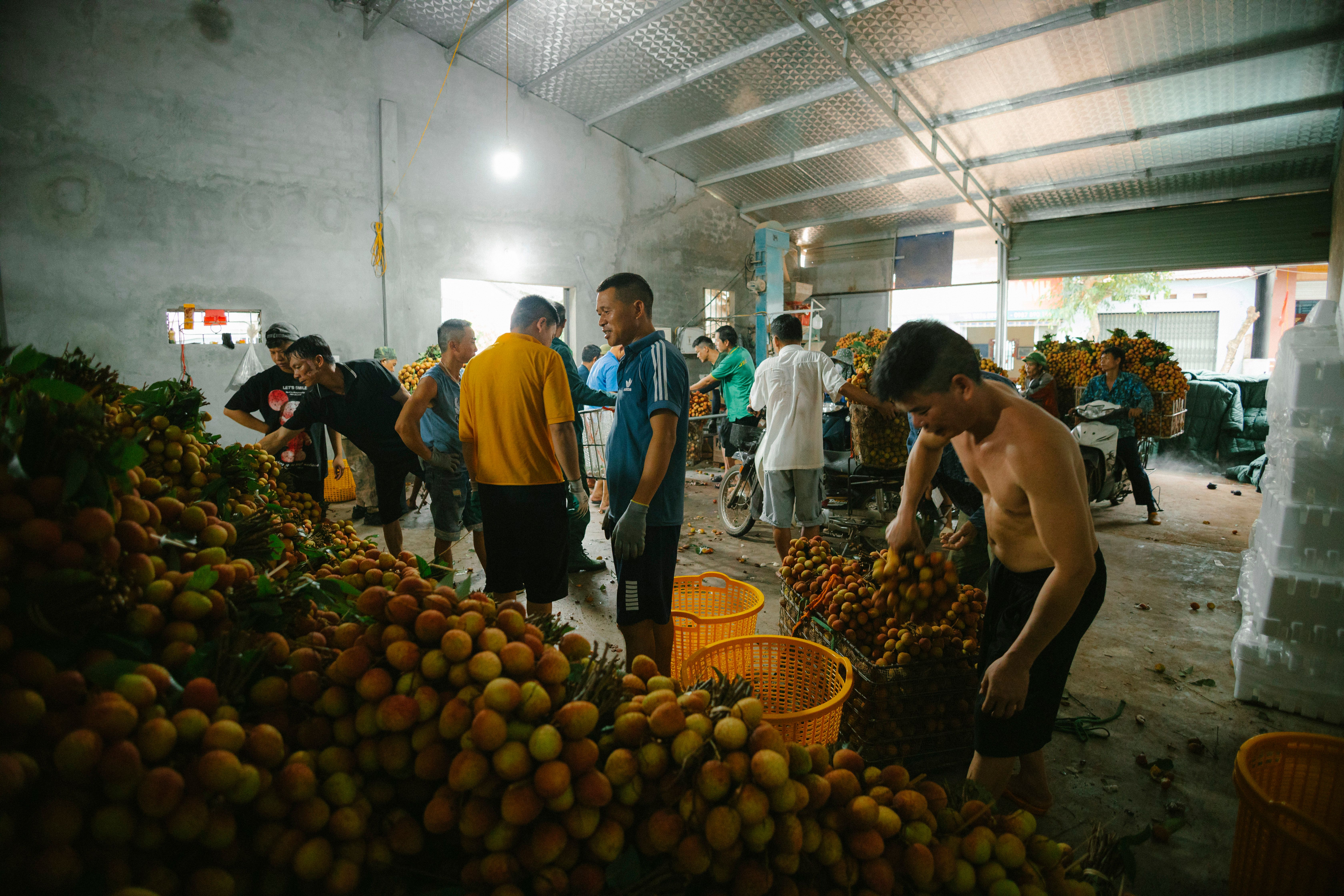 Stovk Markets Photos, Download The BEST Free Stovk Markets Stock Photos ...