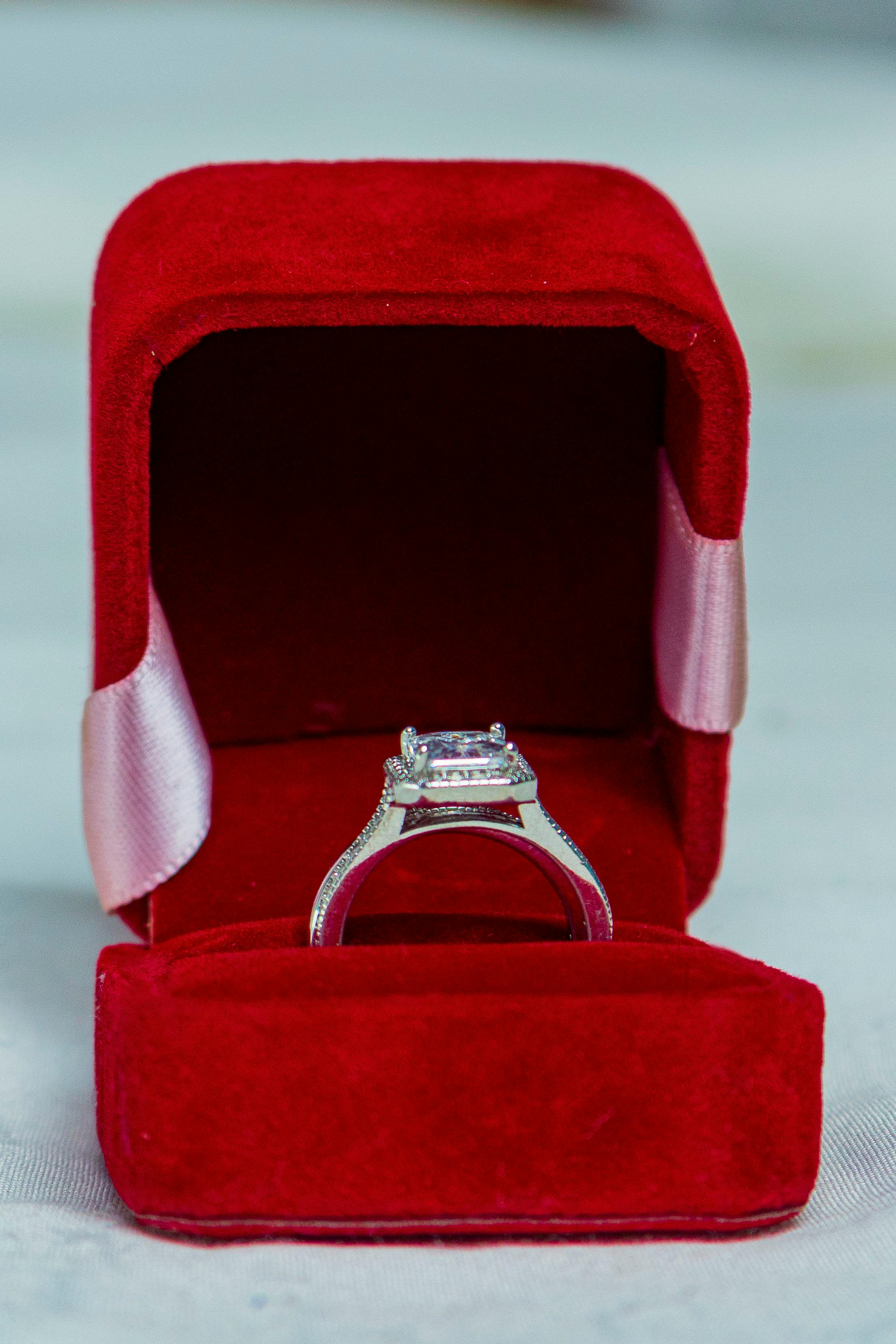 Silver Starlets Violette Photos, Download The BEST Free Silver Starlets ...