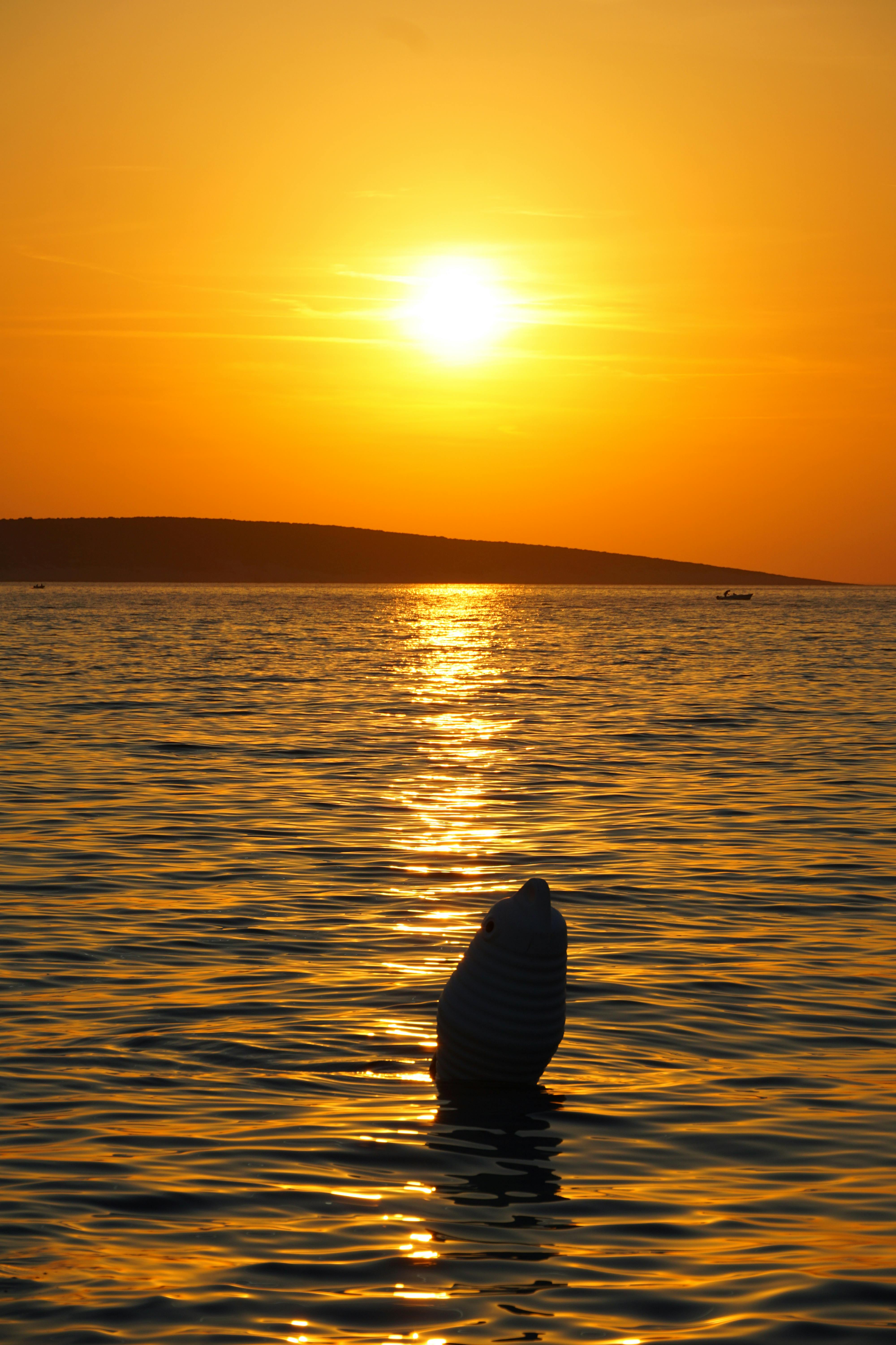 Free Stock Photos, Royalty Free Stock Images & Copyright Free Pictures ...