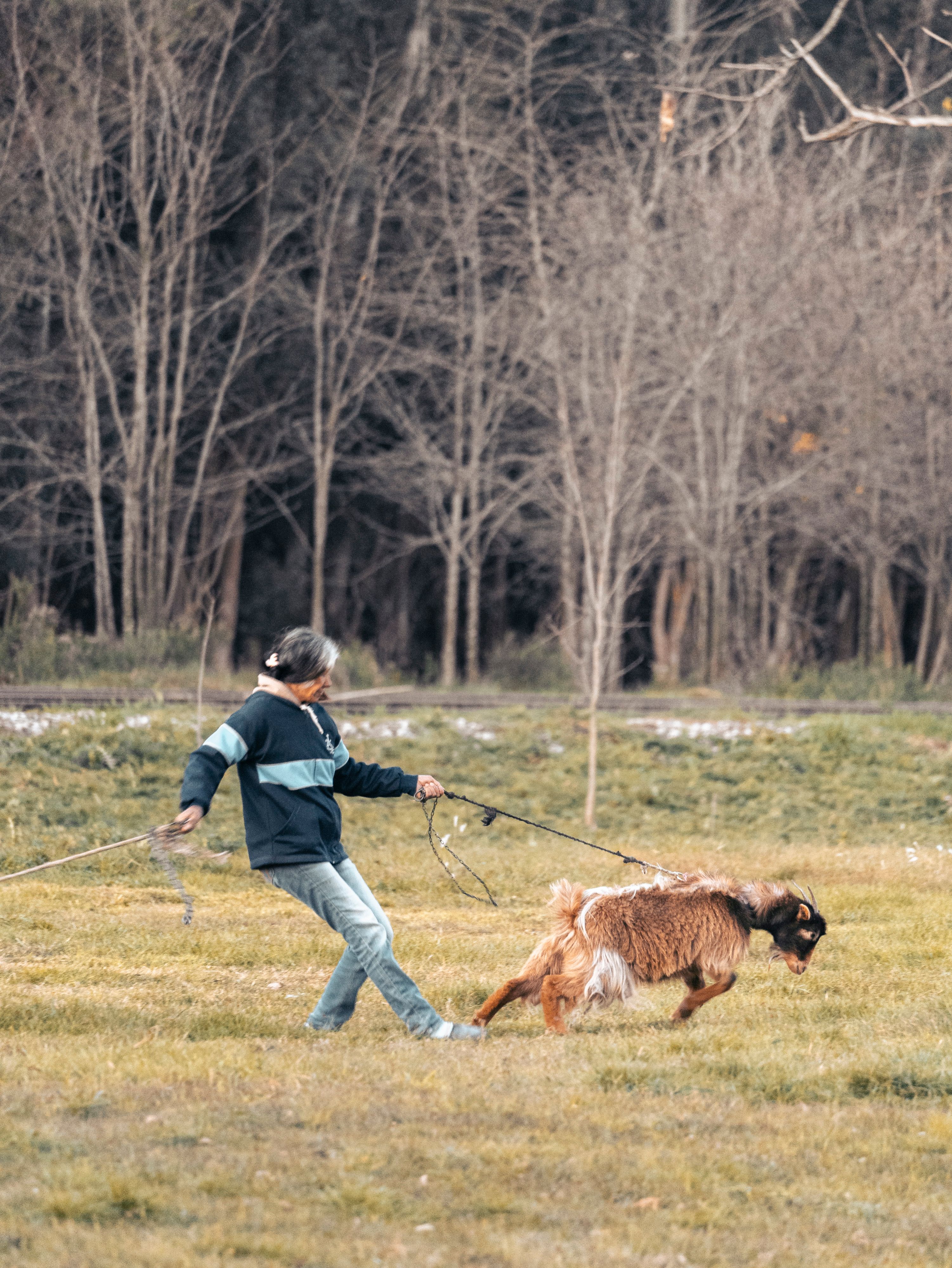 Man and Dog Playing in Outdoors · Free Stock Photo