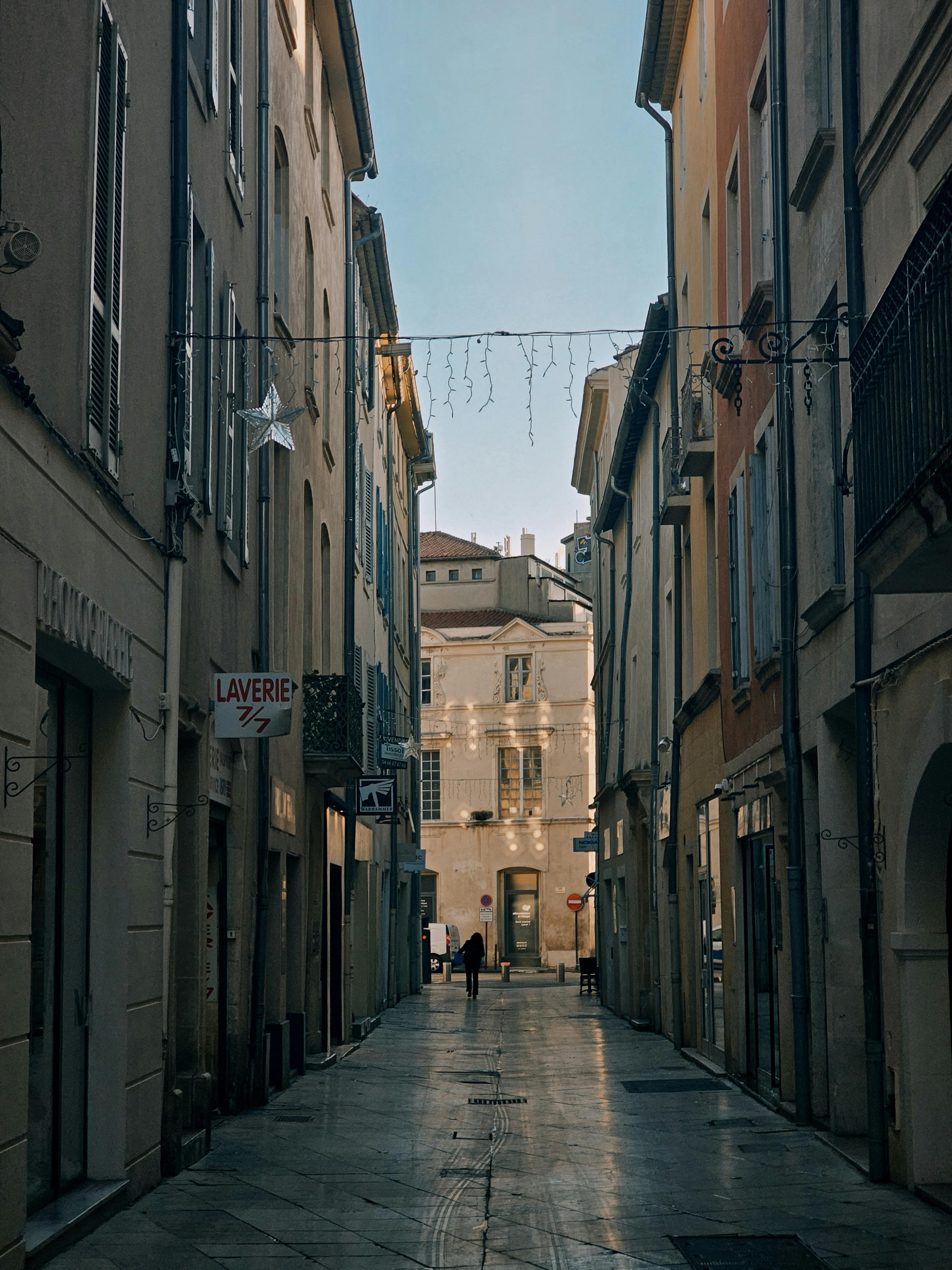 Sparrows+On+A+Branch+Enjoy+Spring+Blooms+Desktop+Background Photos ...
