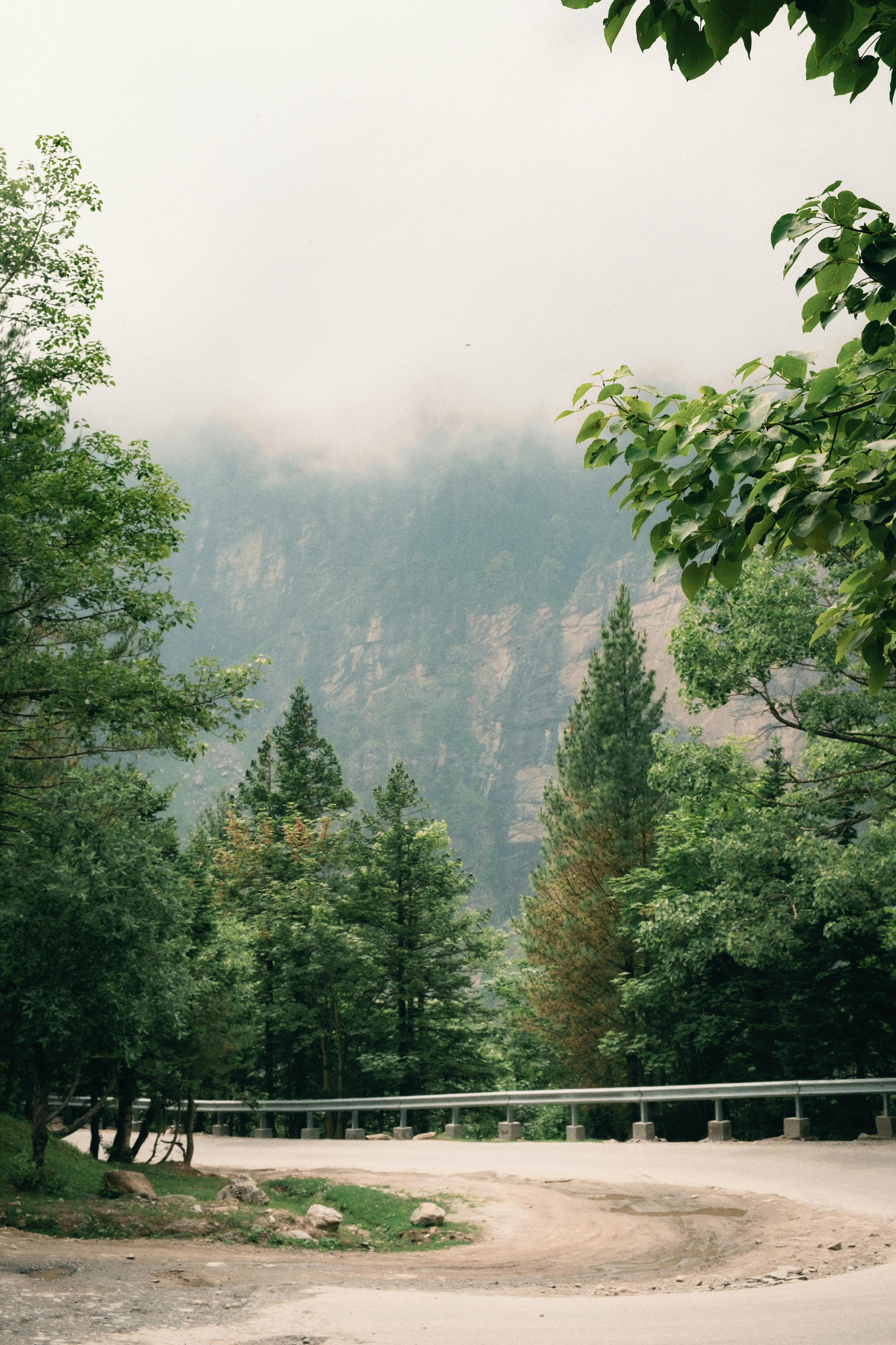 Foggy Mountain Road in Himachal Pradesh · Free Stock Photo