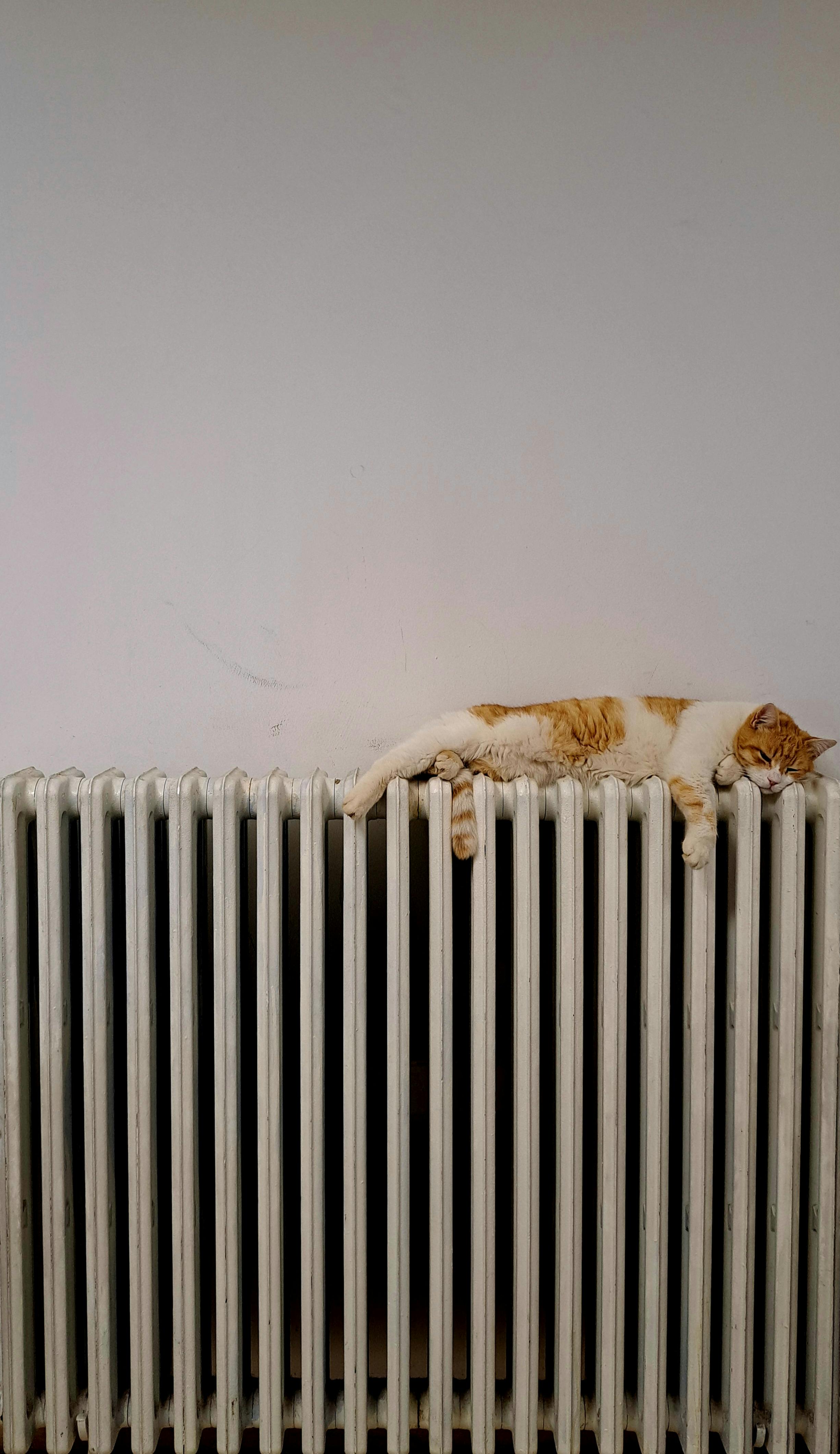 Radiator Photos, Download The BEST Free Radiator Stock Photos & HD Images