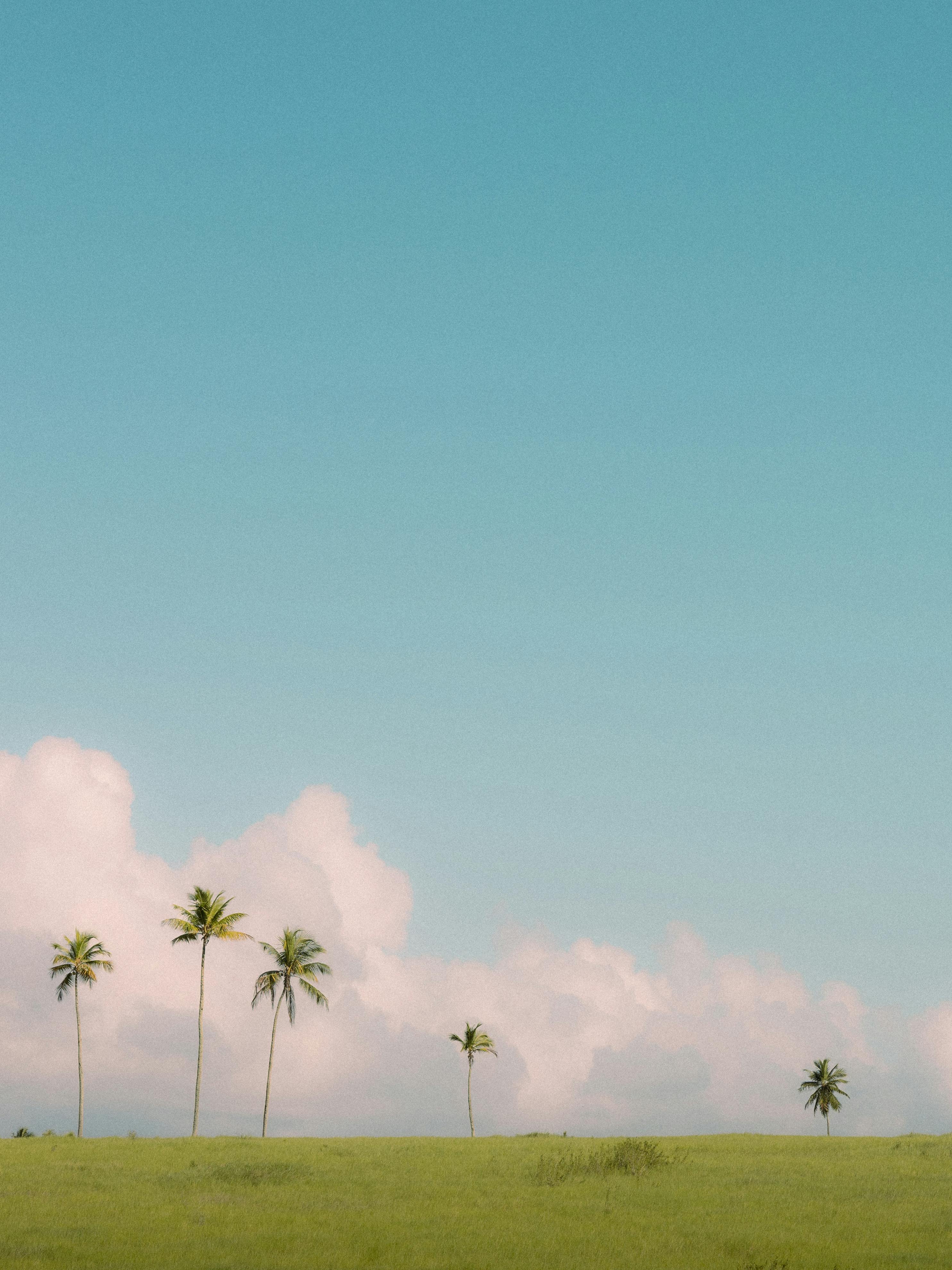 Soothing Photos, Download The BEST Free Soothing Stock Photos & HD Images