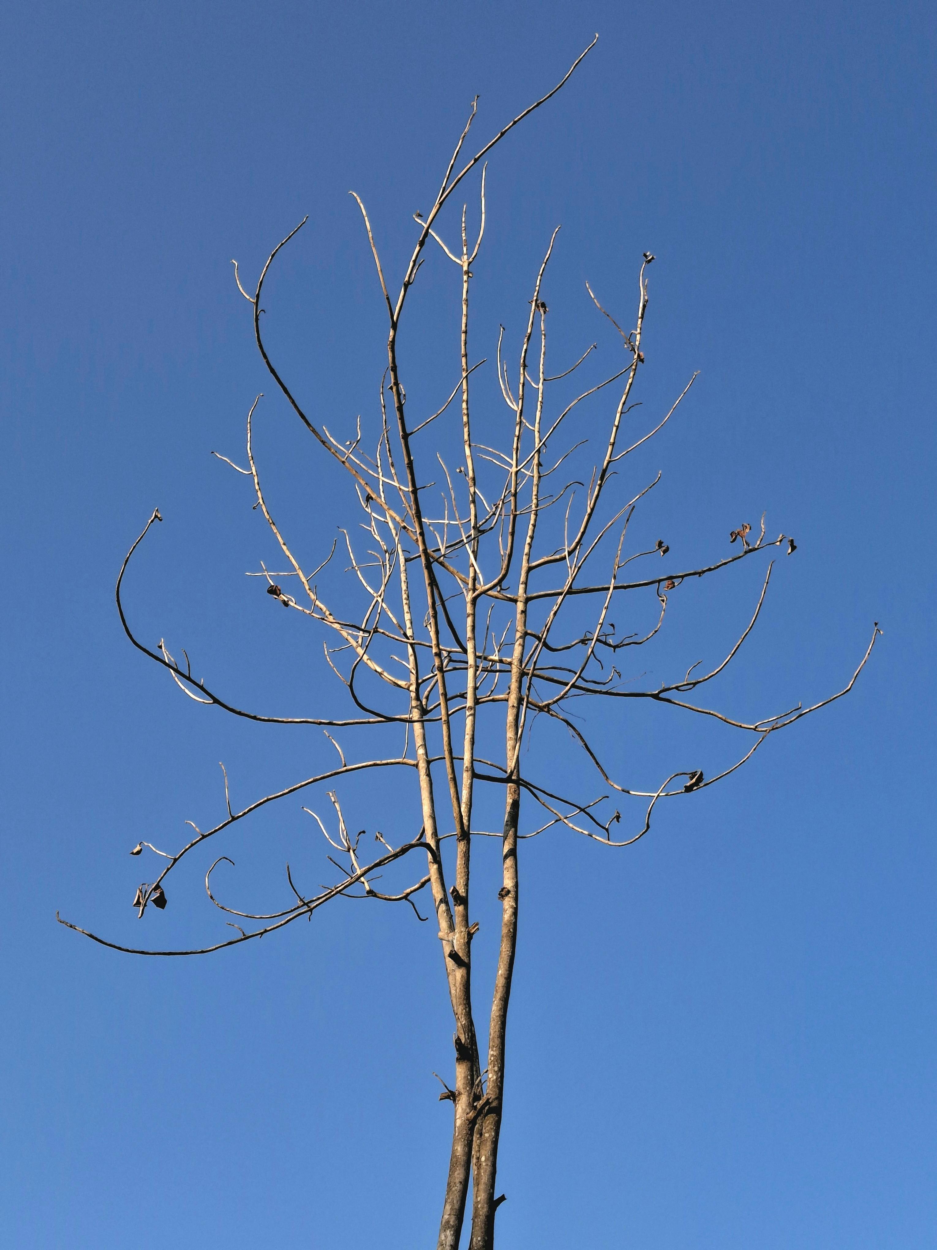 Fare Stark Photos, Download The BEST Free Fare Stark Stock Photos & HD ...