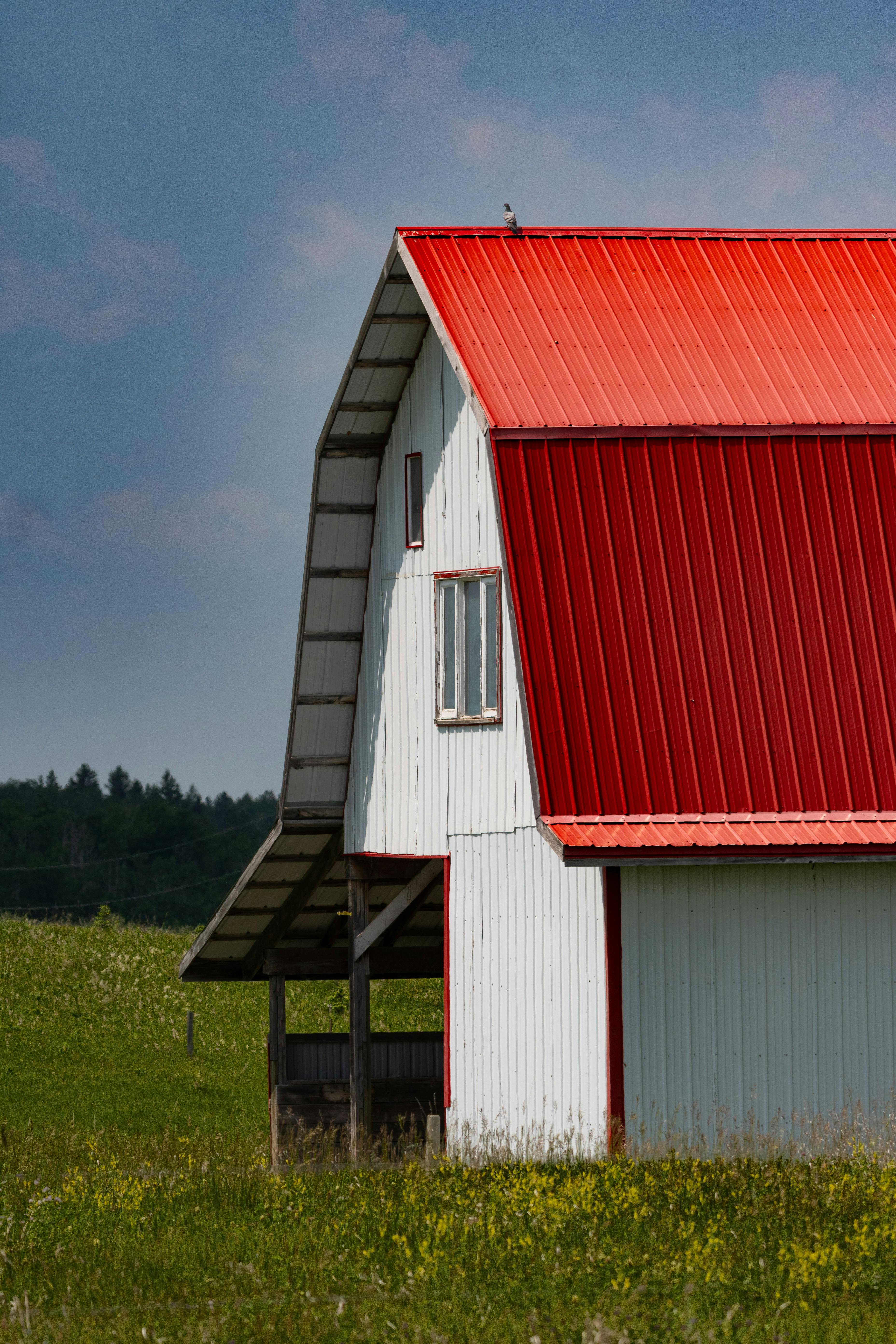 Red Roof Barn in Lush Green Field Landscape · Free Stock Photo
