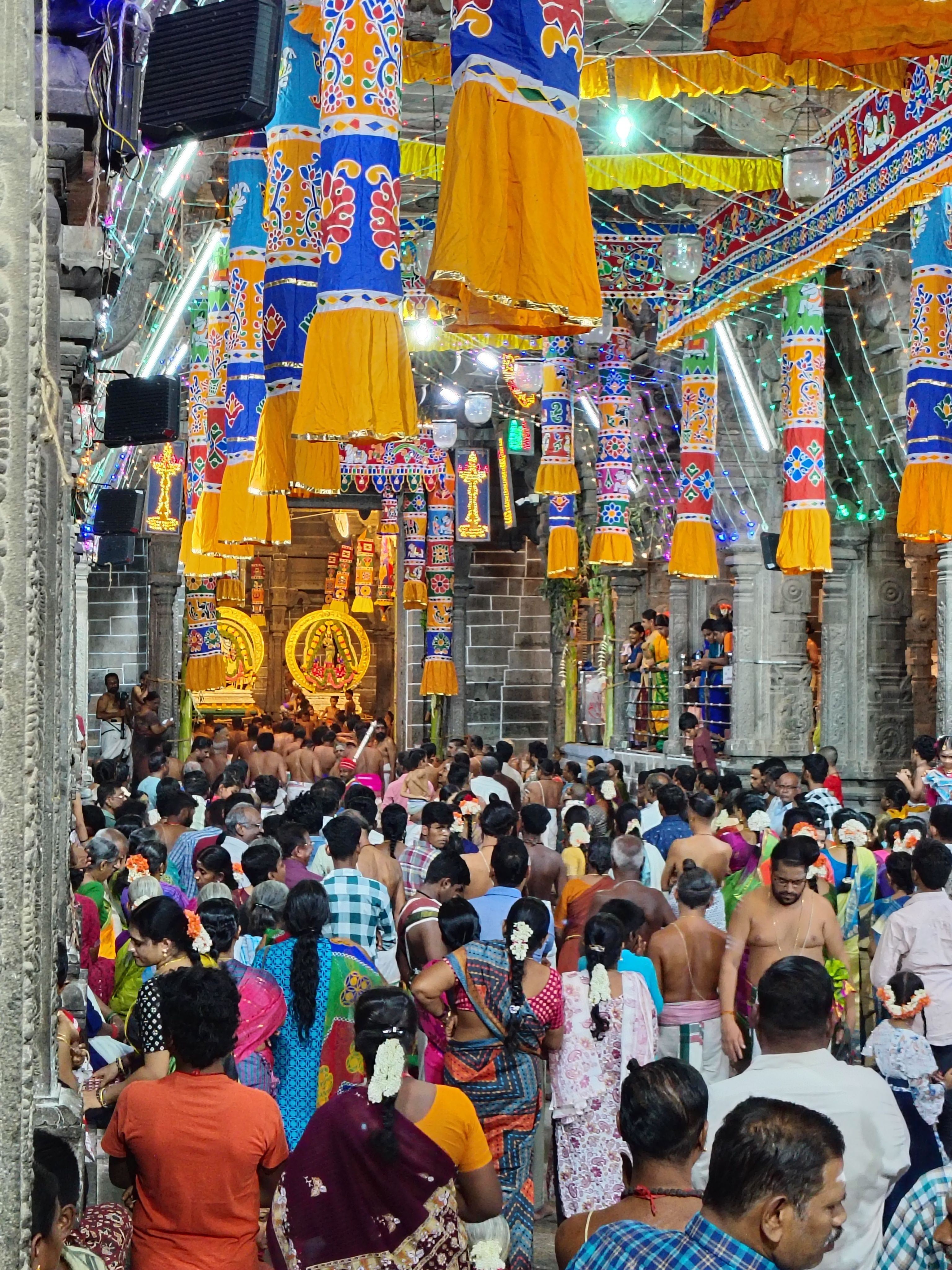 Indian Penge Photos, Download The BEST Free Indian Penge Stock Photos ...