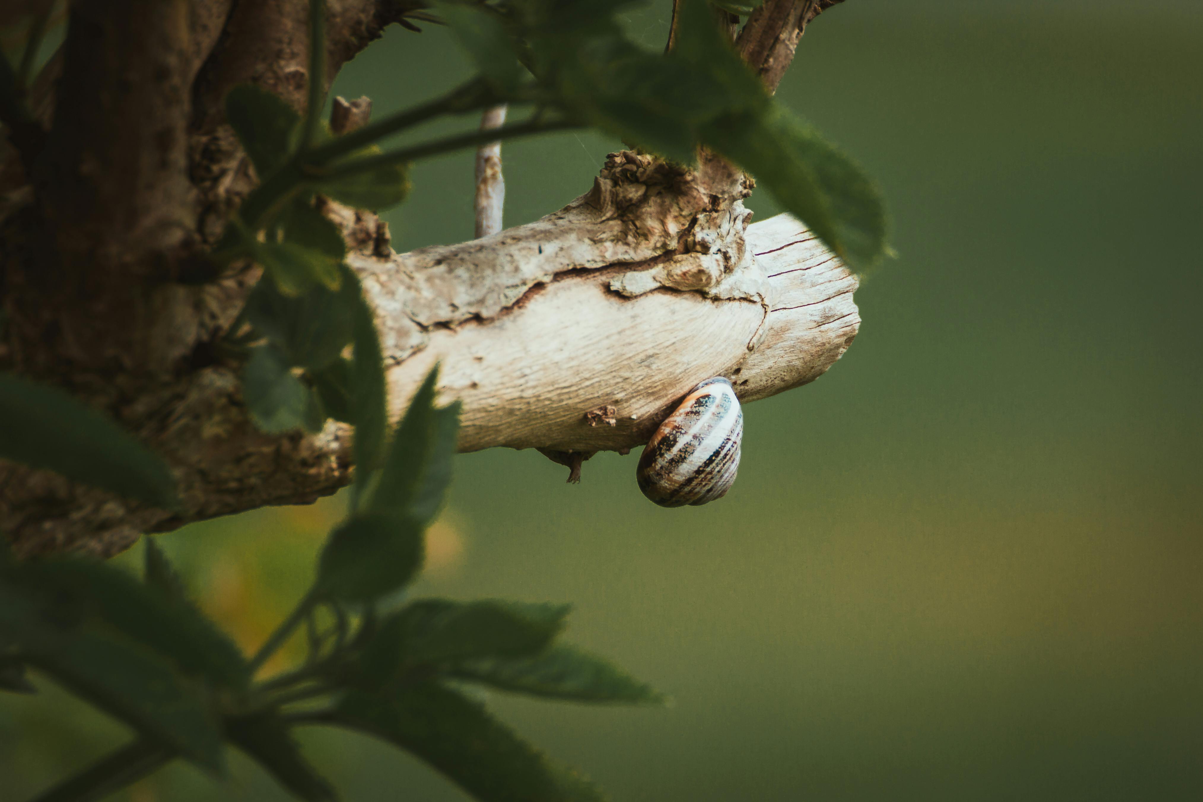 Zoom Photos, Download The BEST Free Zoom Stock Photos & HD Images