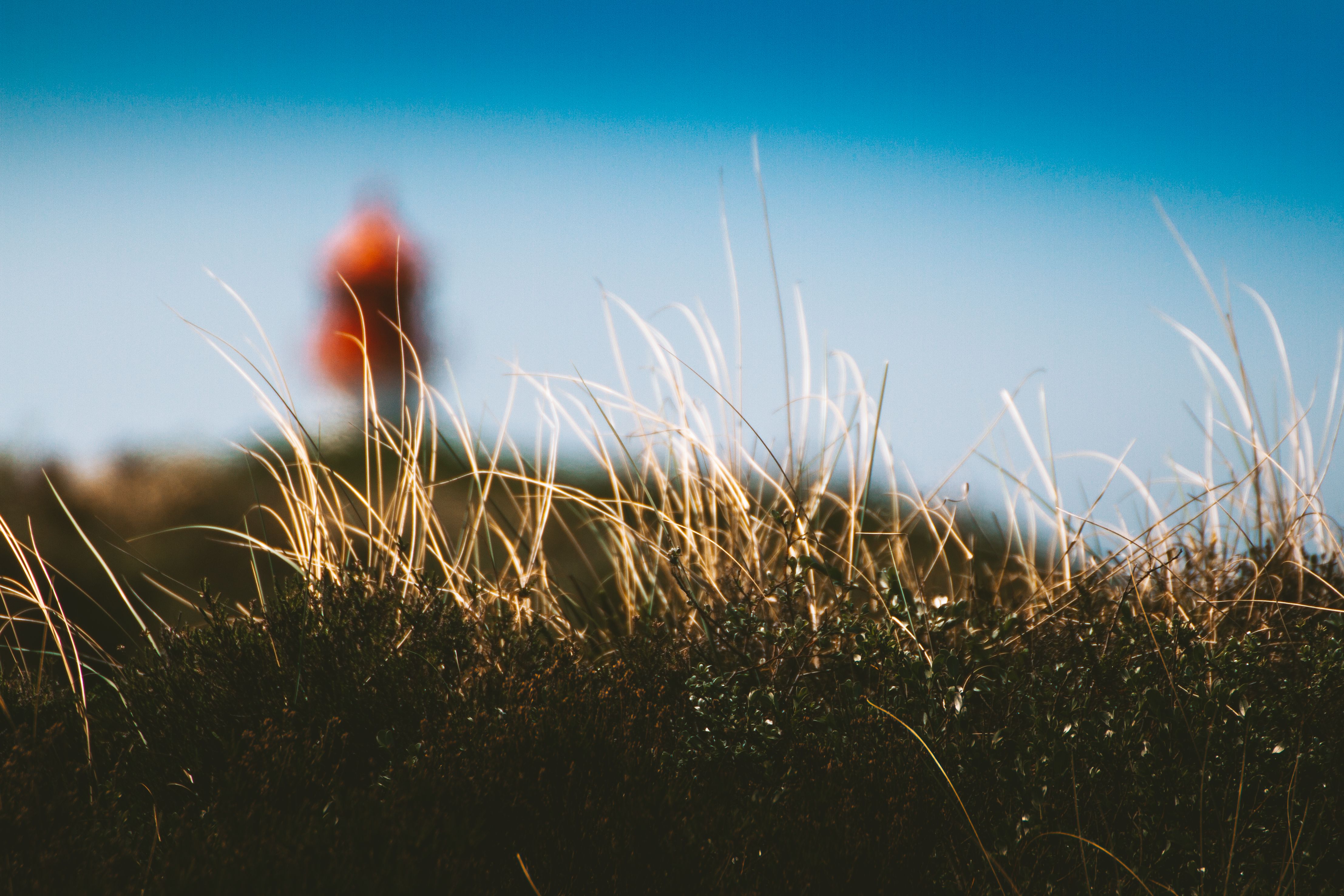Coastal Lighthouse in Natural Grassy Setting · Free Stock Photo