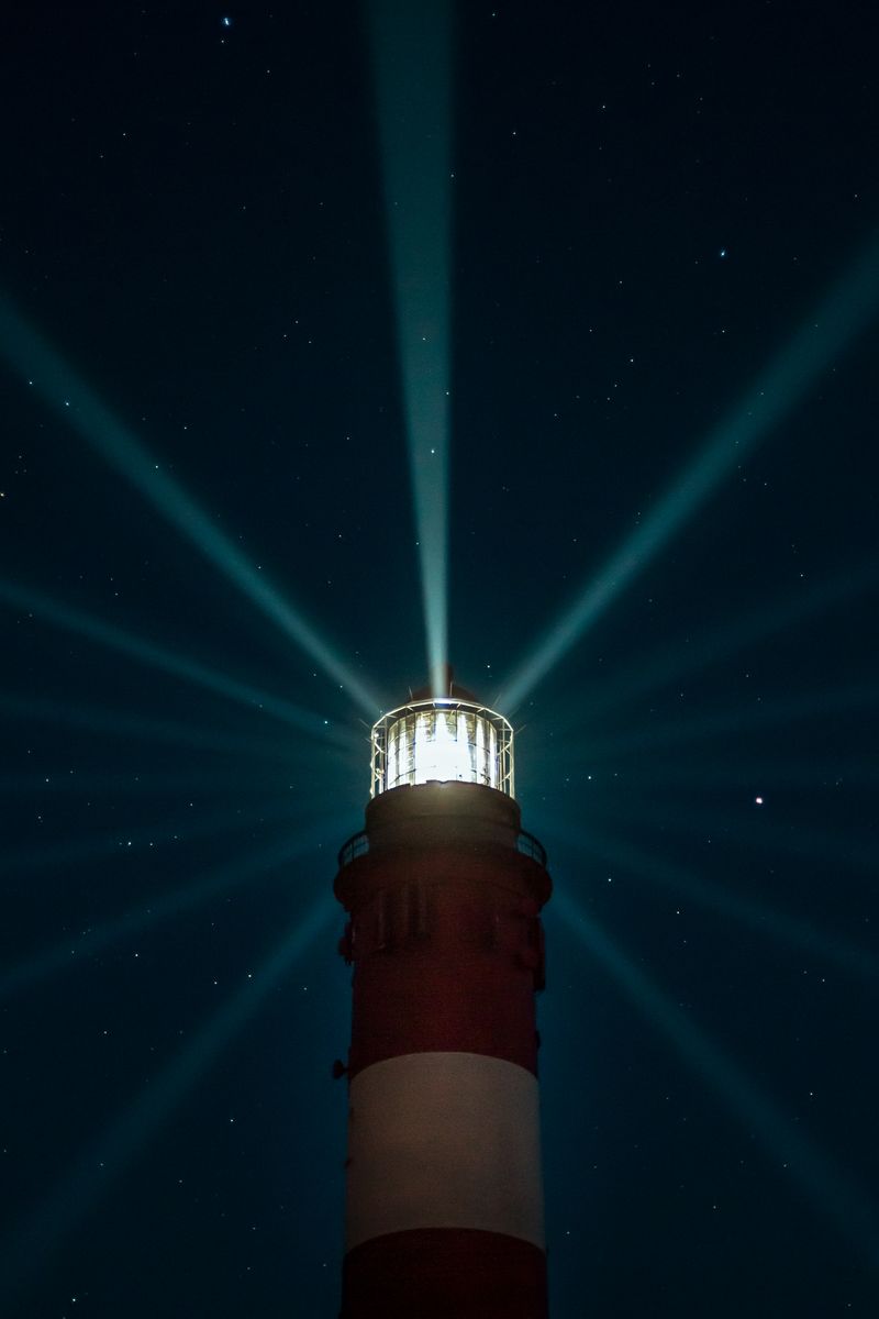 900,000+ Best Night Light Photos · 100% Free Download · Pexels Stock Photos