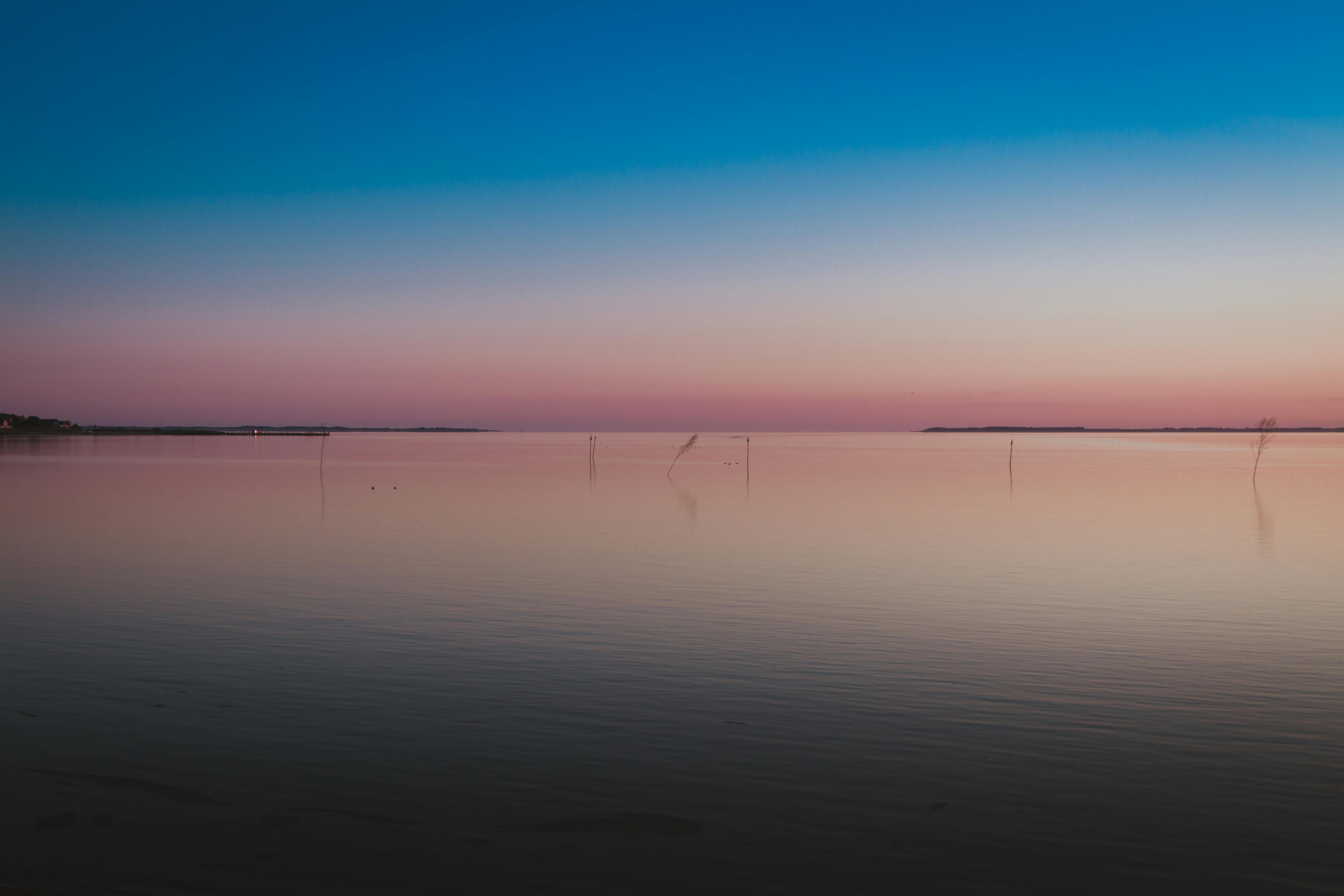 Frank Ocean Pfp Photos, Download The BEST Free Frank Ocean Pfp Stock ...