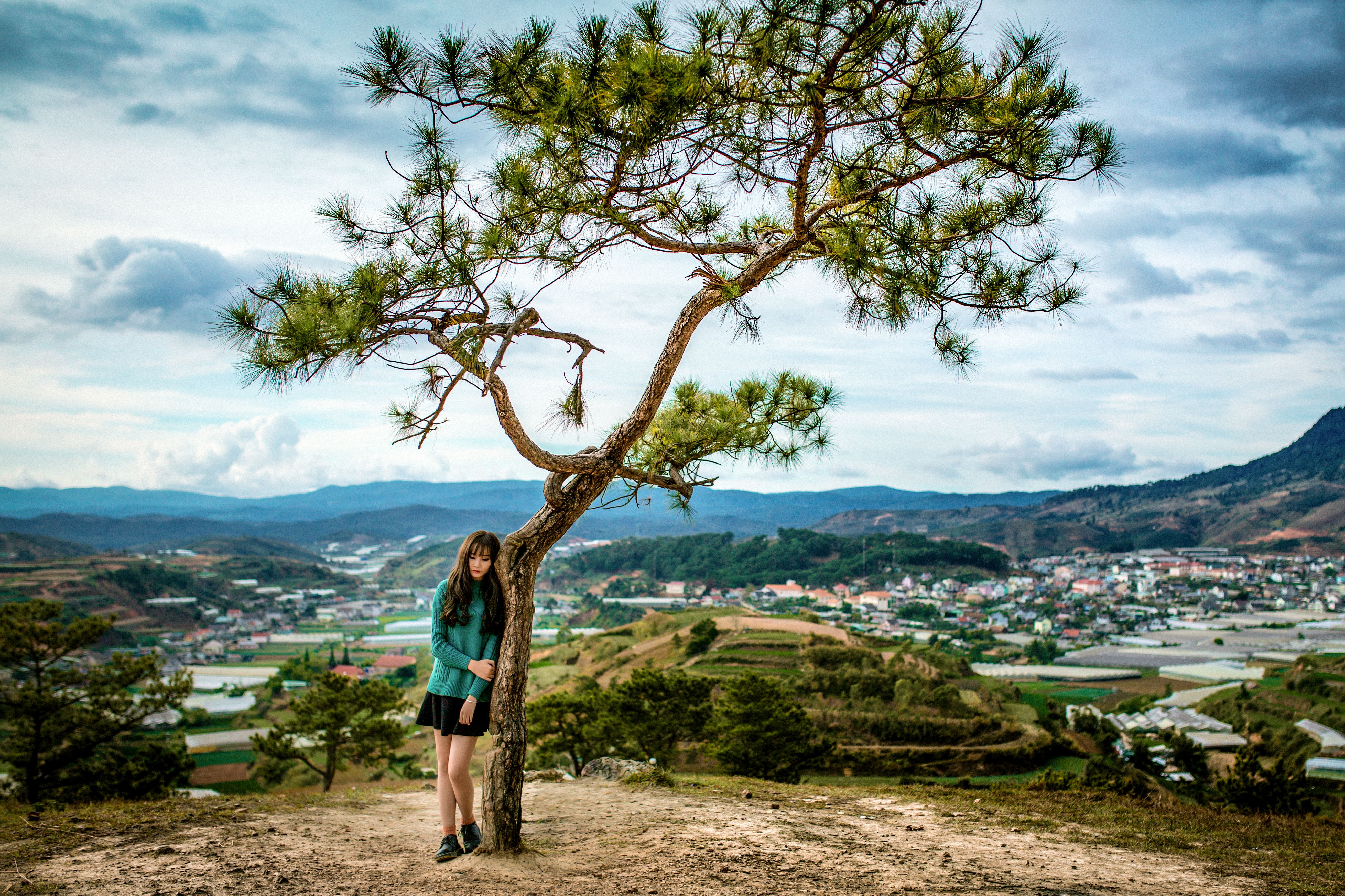 Serene Landscape with Lone Pine Tree in Vietnam · Free Stock Photo