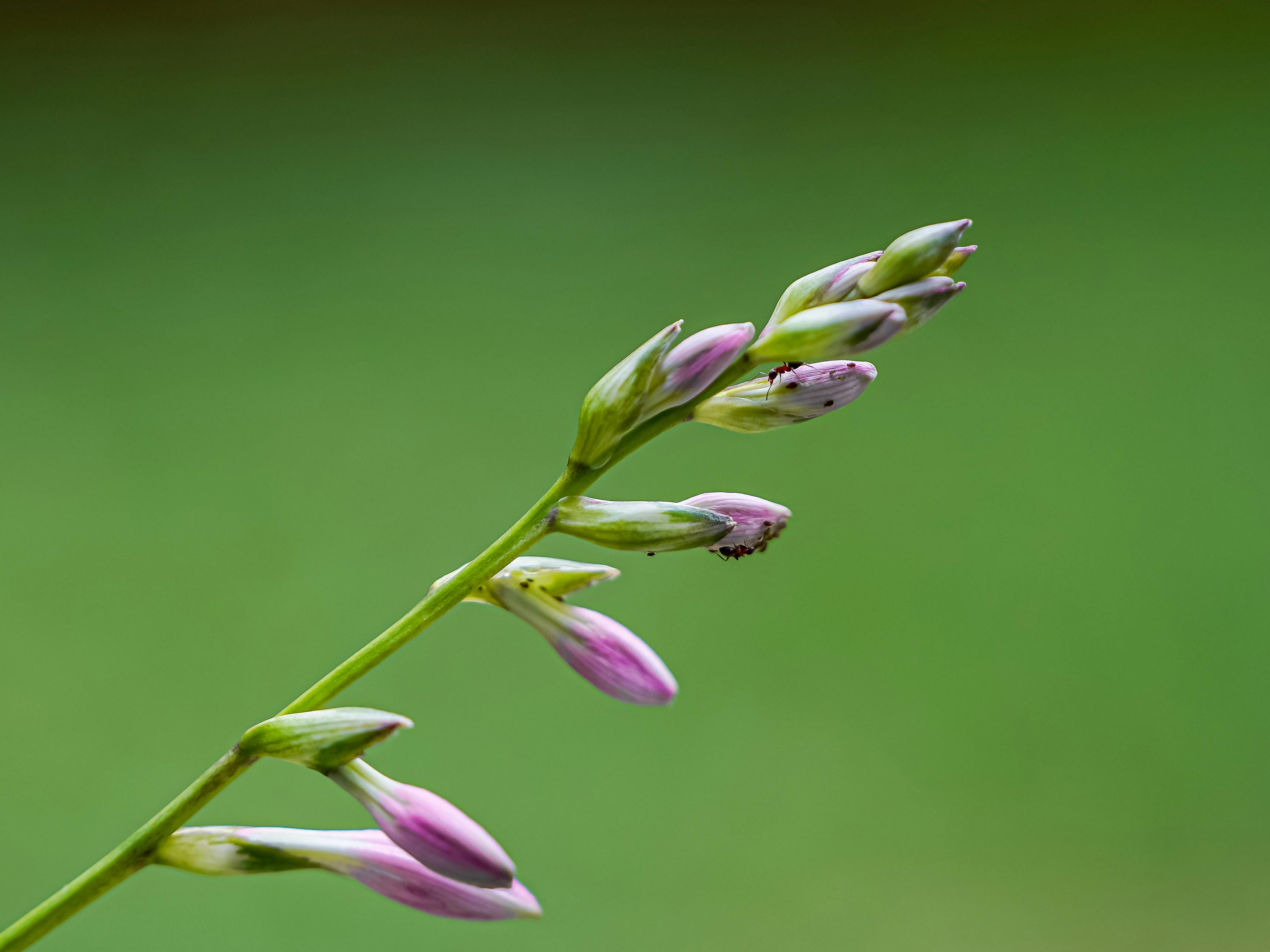 Extra+Small+Teen Photos, Download The BEST Free Extra+Small+Teen Stock ...