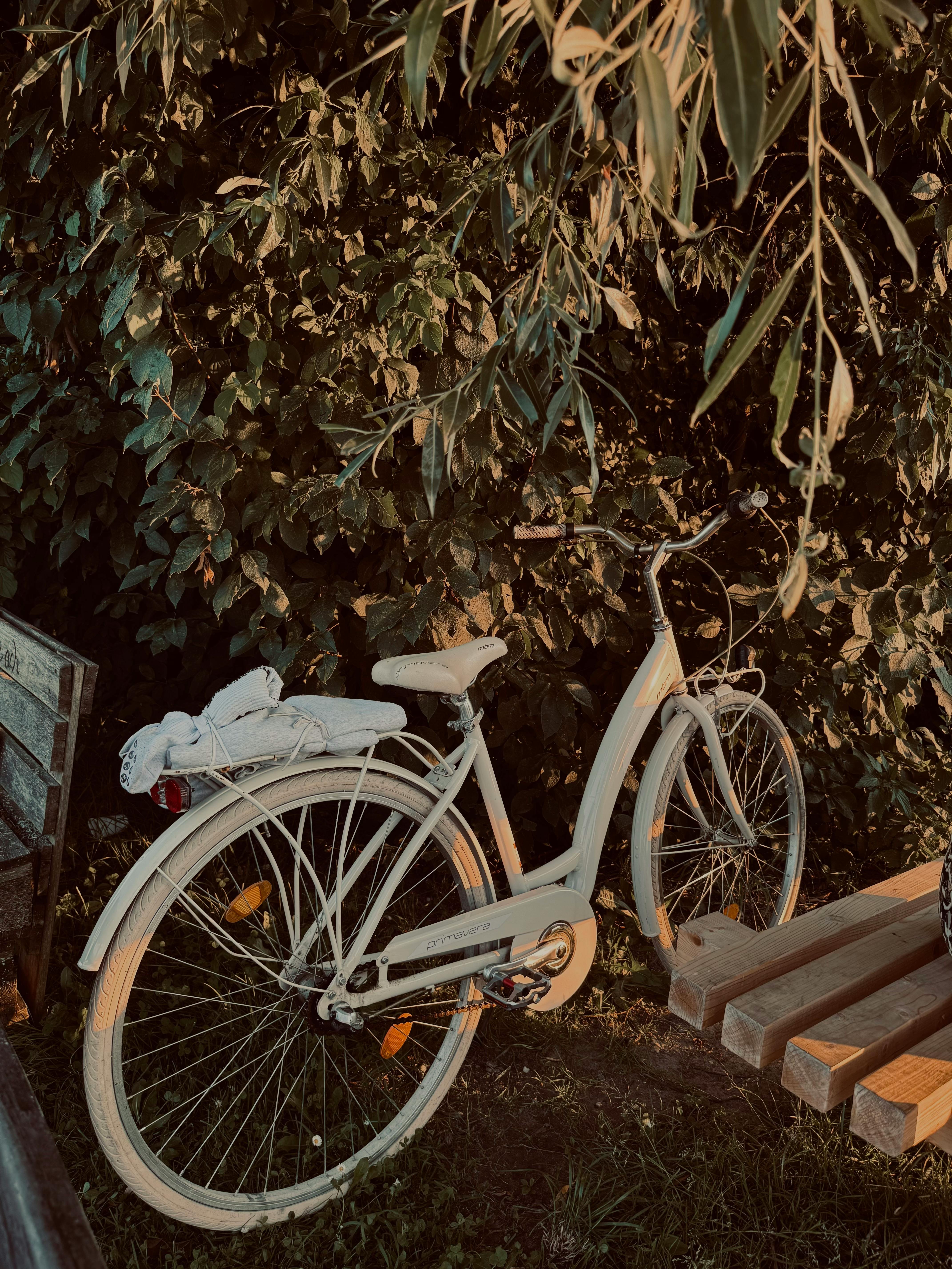 Atp Adp Cycle Photos, Download The BEST Free Atp Adp Cycle Stock Photos ...