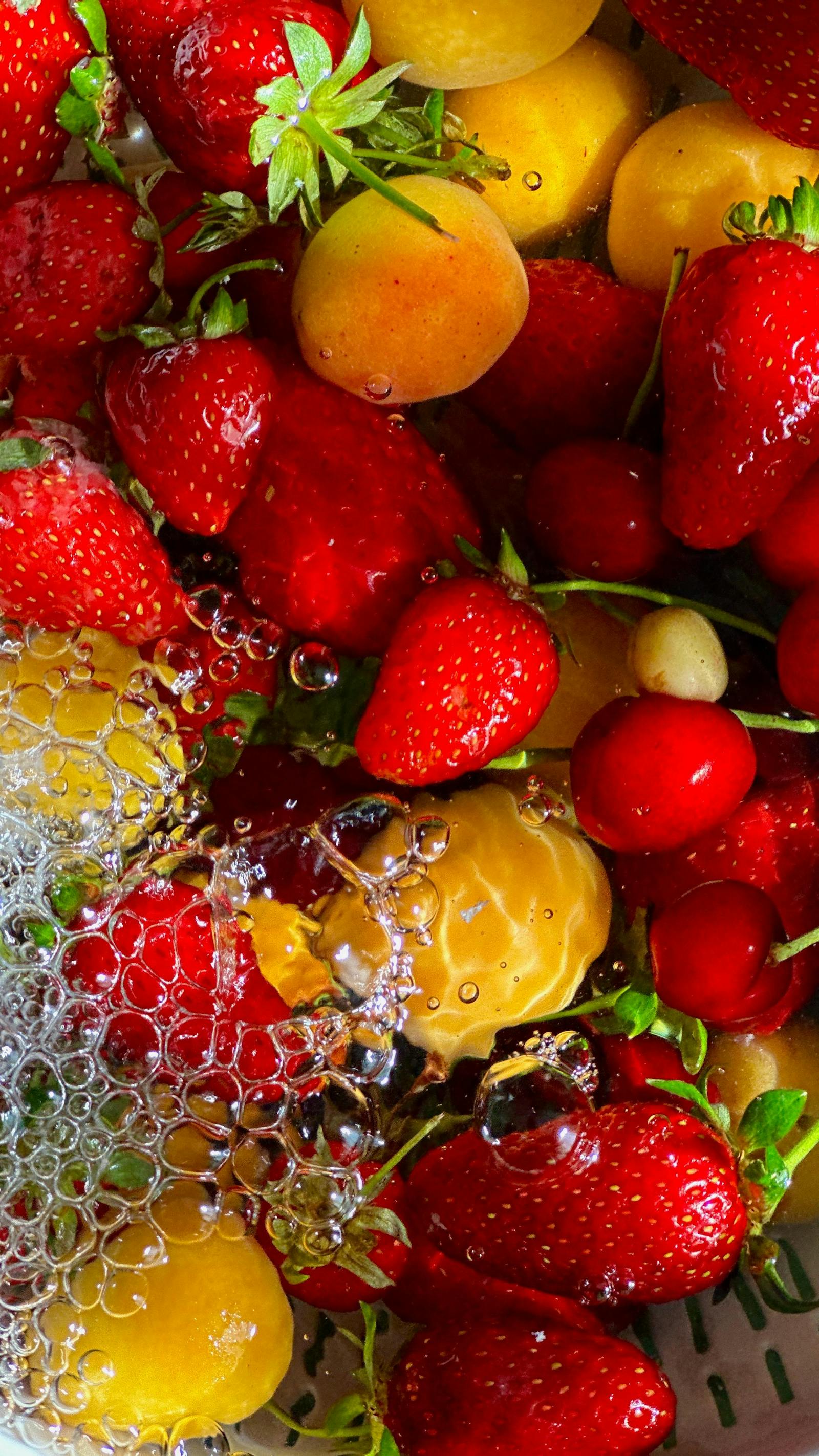 Apricot Photos, Download The BEST Free Apricot Stock Photos & HD Images