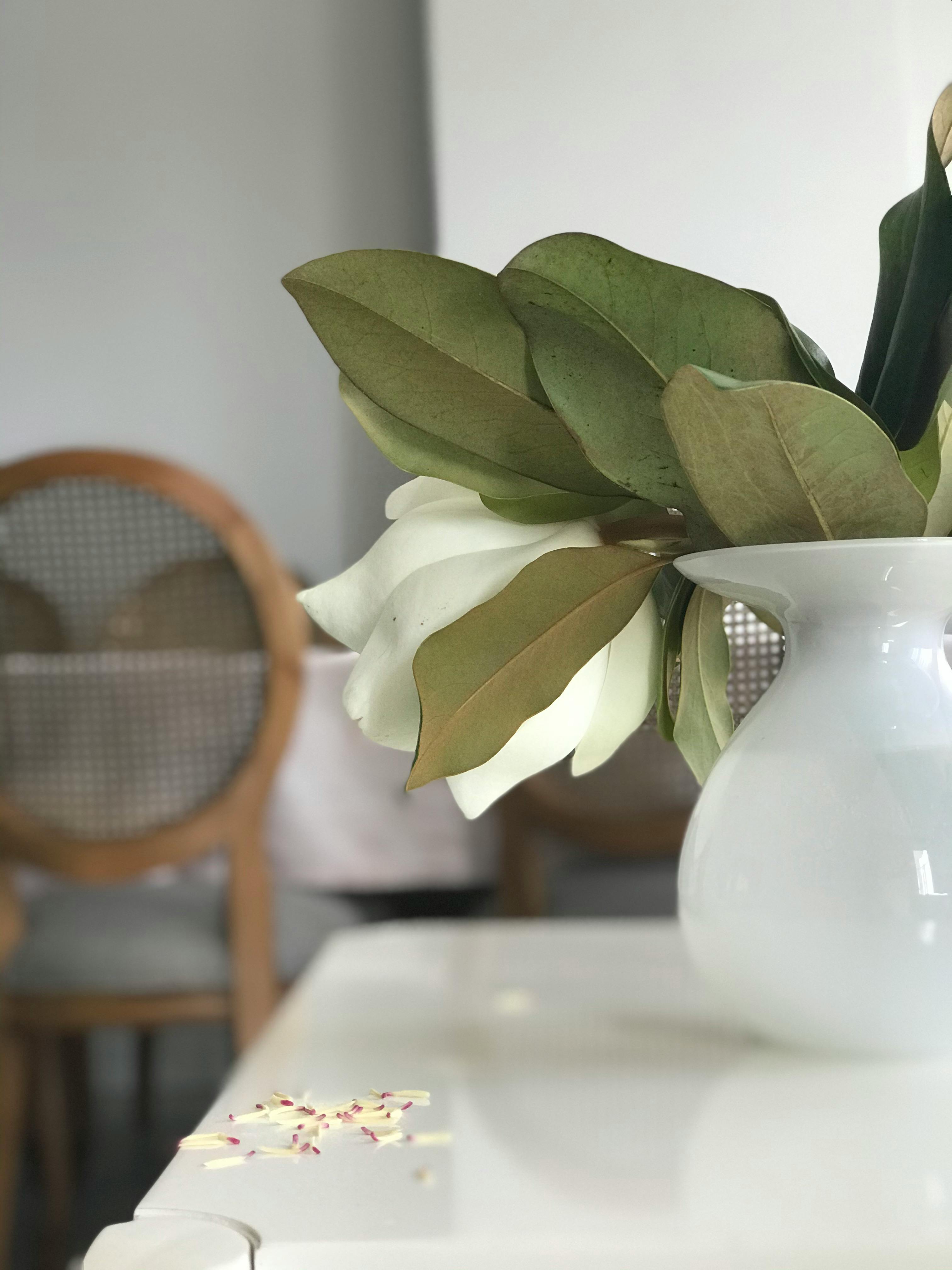 Golap Flowers Photos, Download The BEST Free Golap Flowers Stock Photos ...