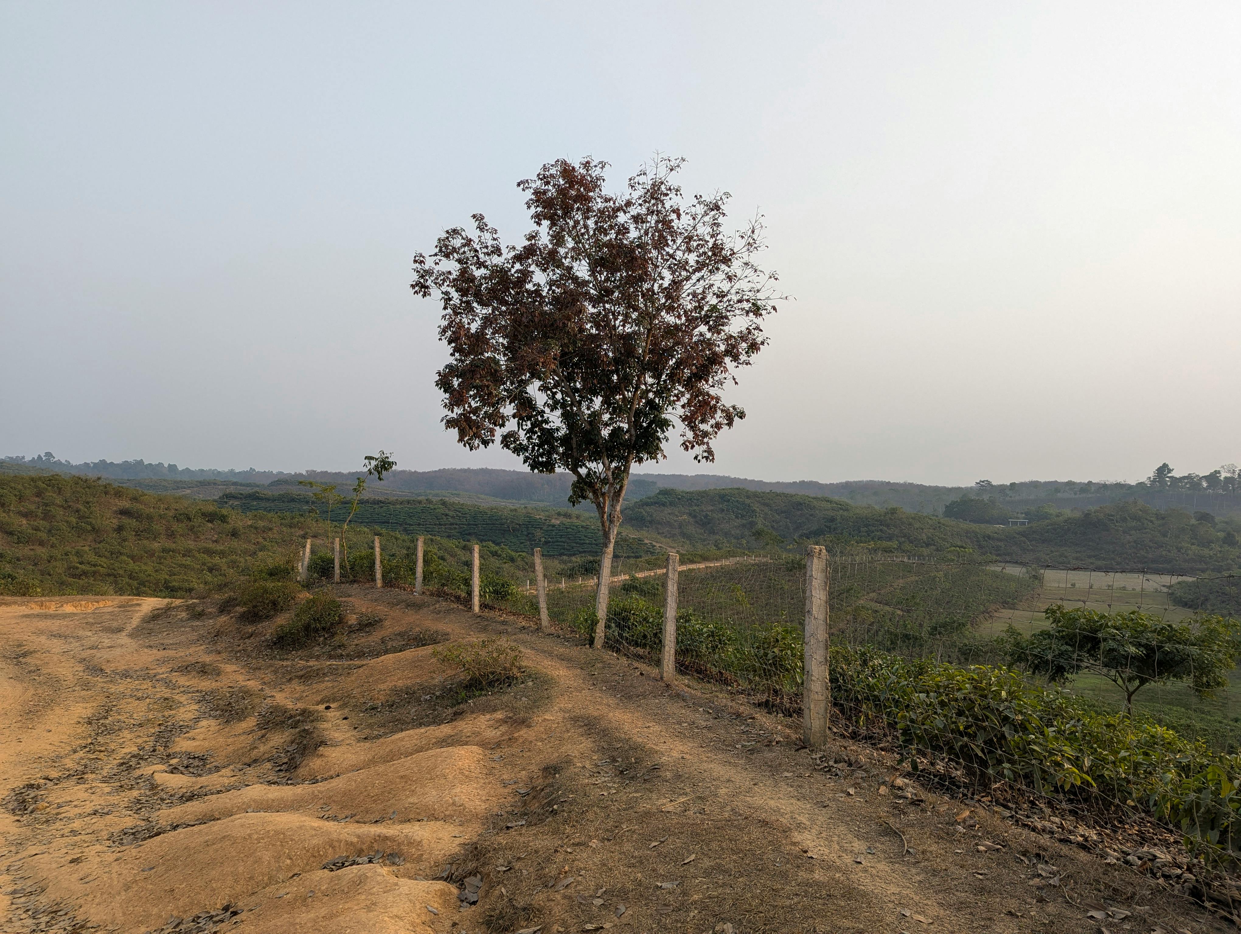 Earthy Landscape Photos, Download The BEST Free Earthy Landscape Stock ...