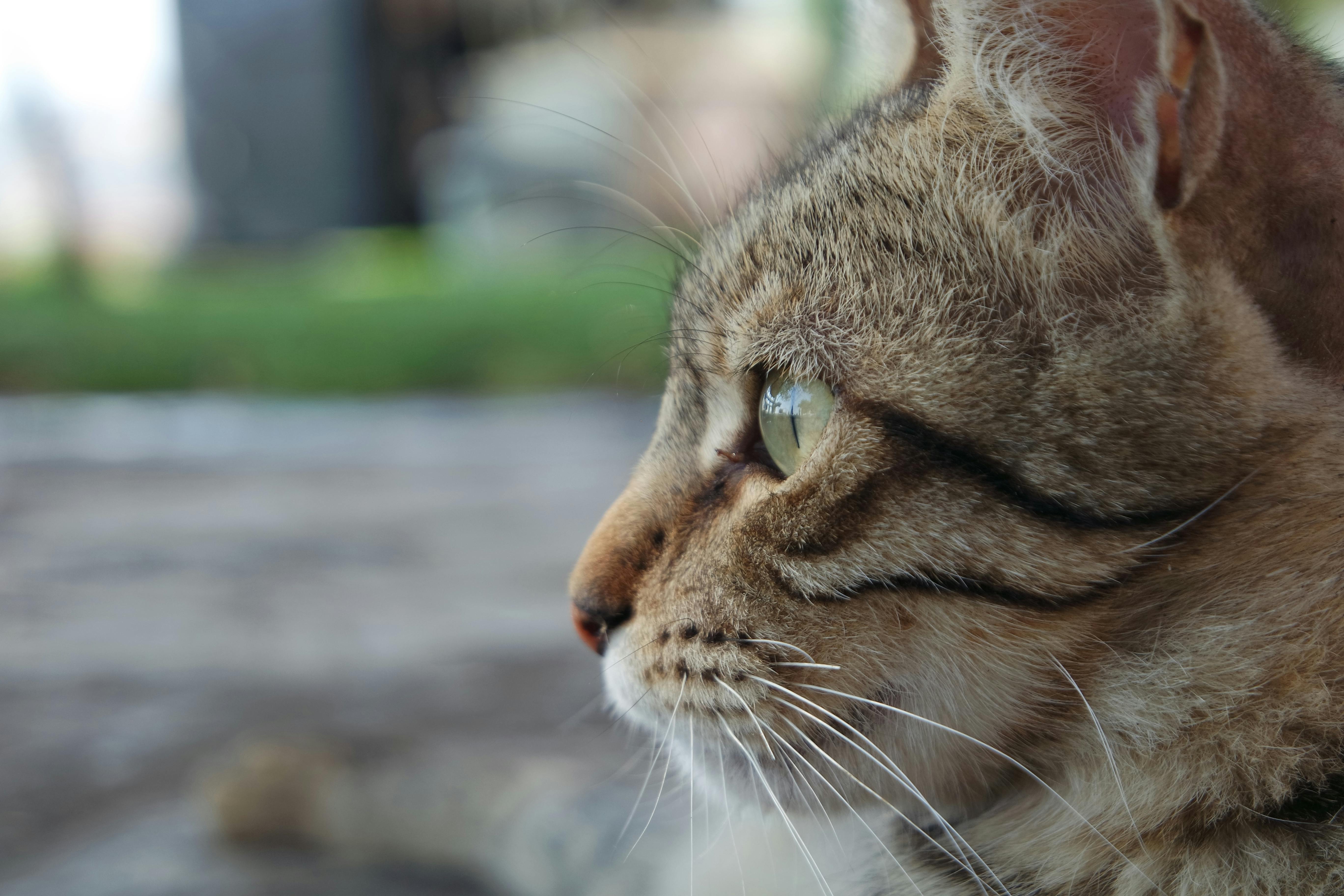 Poo Photos, Download The BEST Free Poo Stock Photos & HD Images