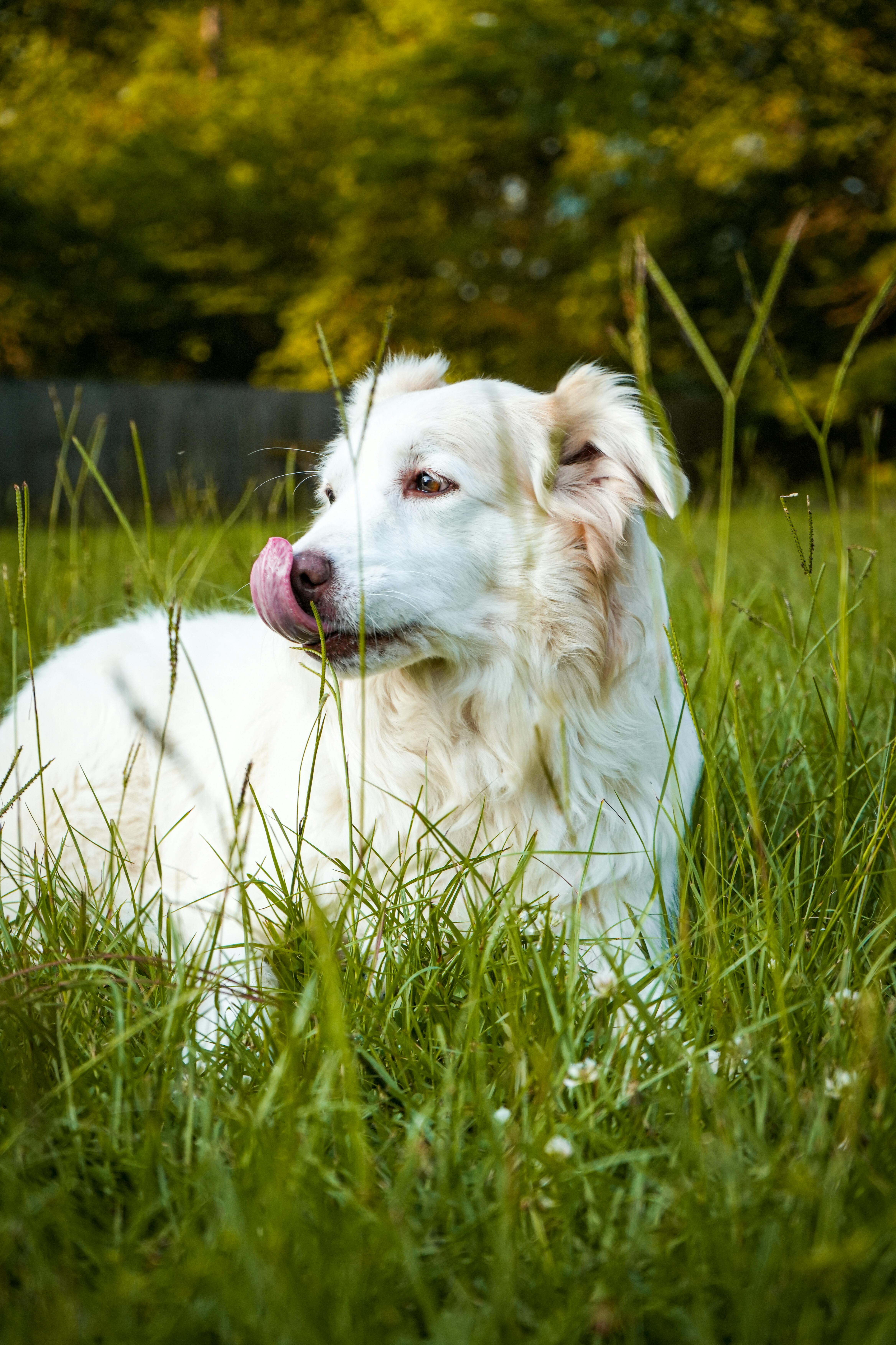 Adobe Photos, Download The BEST Free Adobe Stock Photos & HD Images