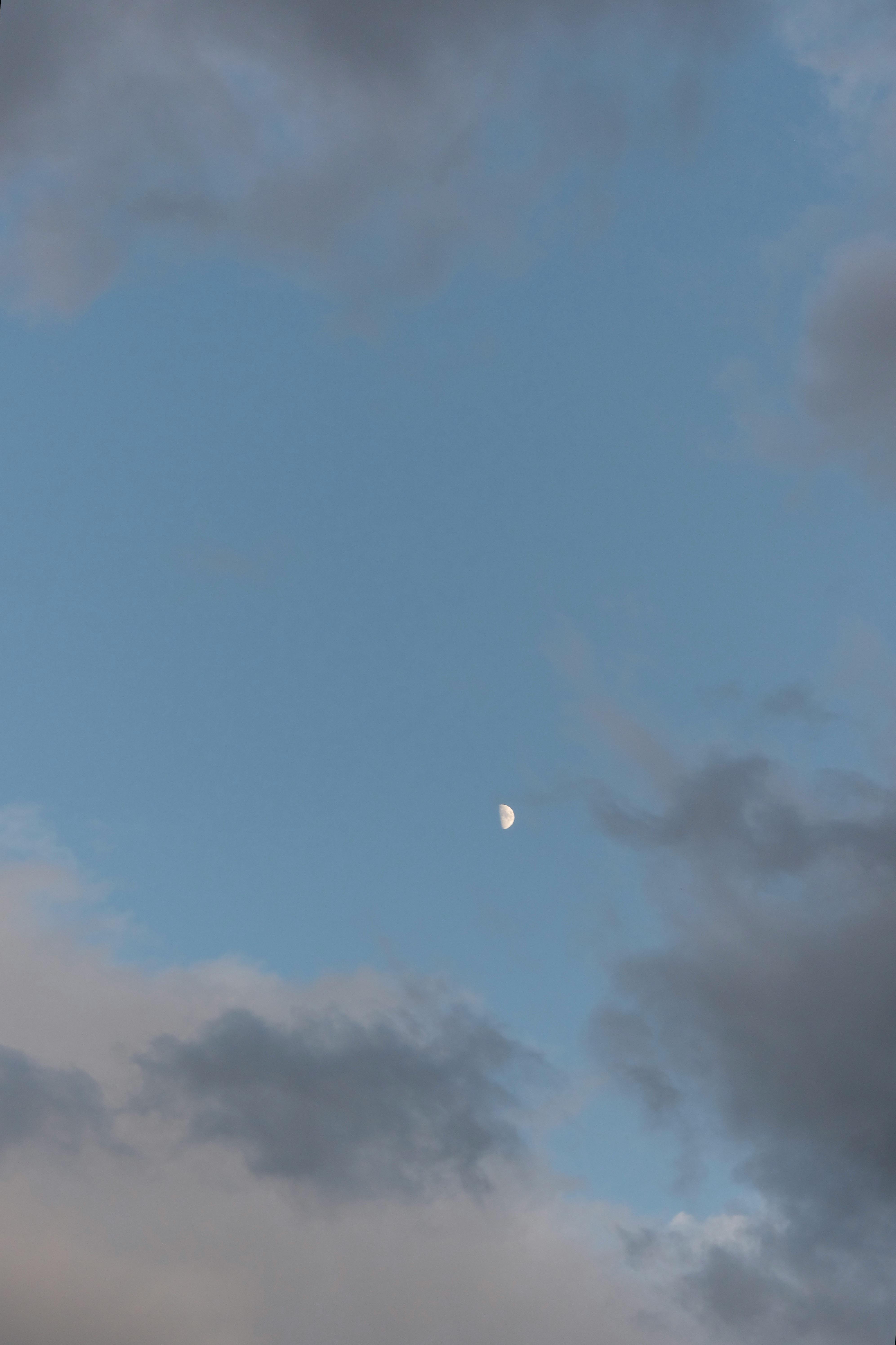 Puffies+And+Pokies Photos, Download The BEST Free Puffies+And+Pokies ...