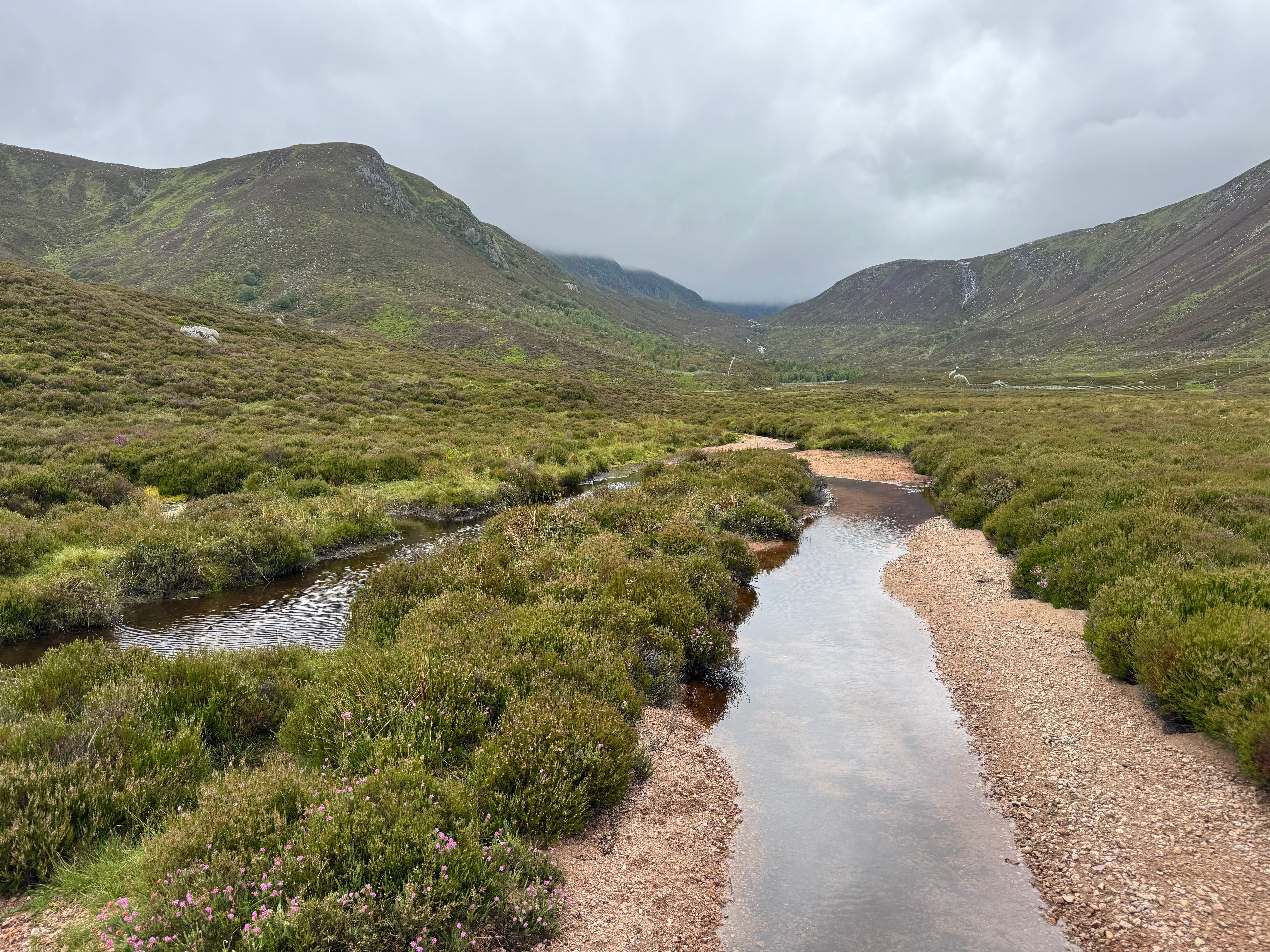 Scenic Mountain Valley with Stream and Overcast Sky · Free Stock Photo