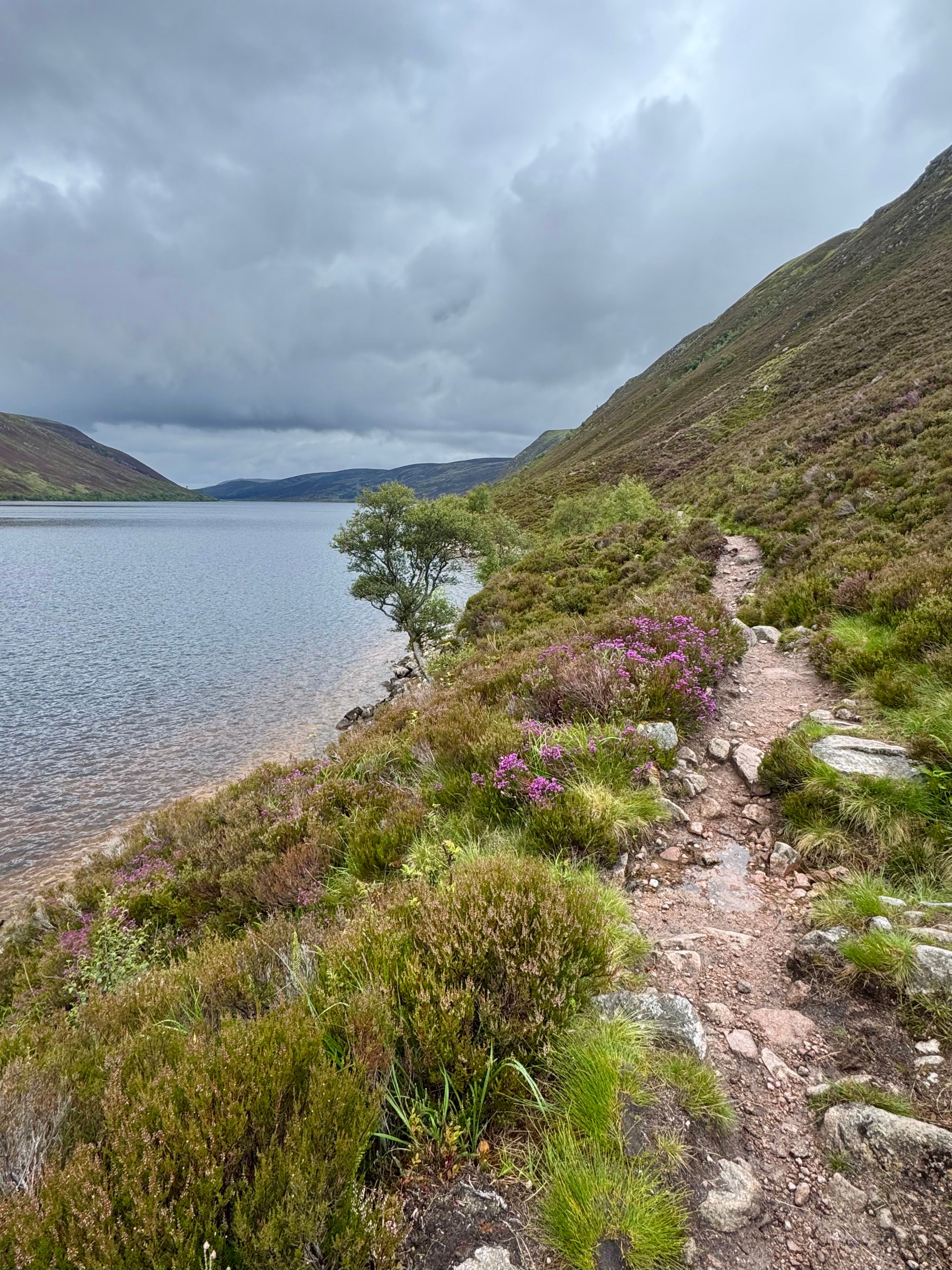 Scenic Lakeside Hiking Trail in Rugged Landscape · Free Stock Photo