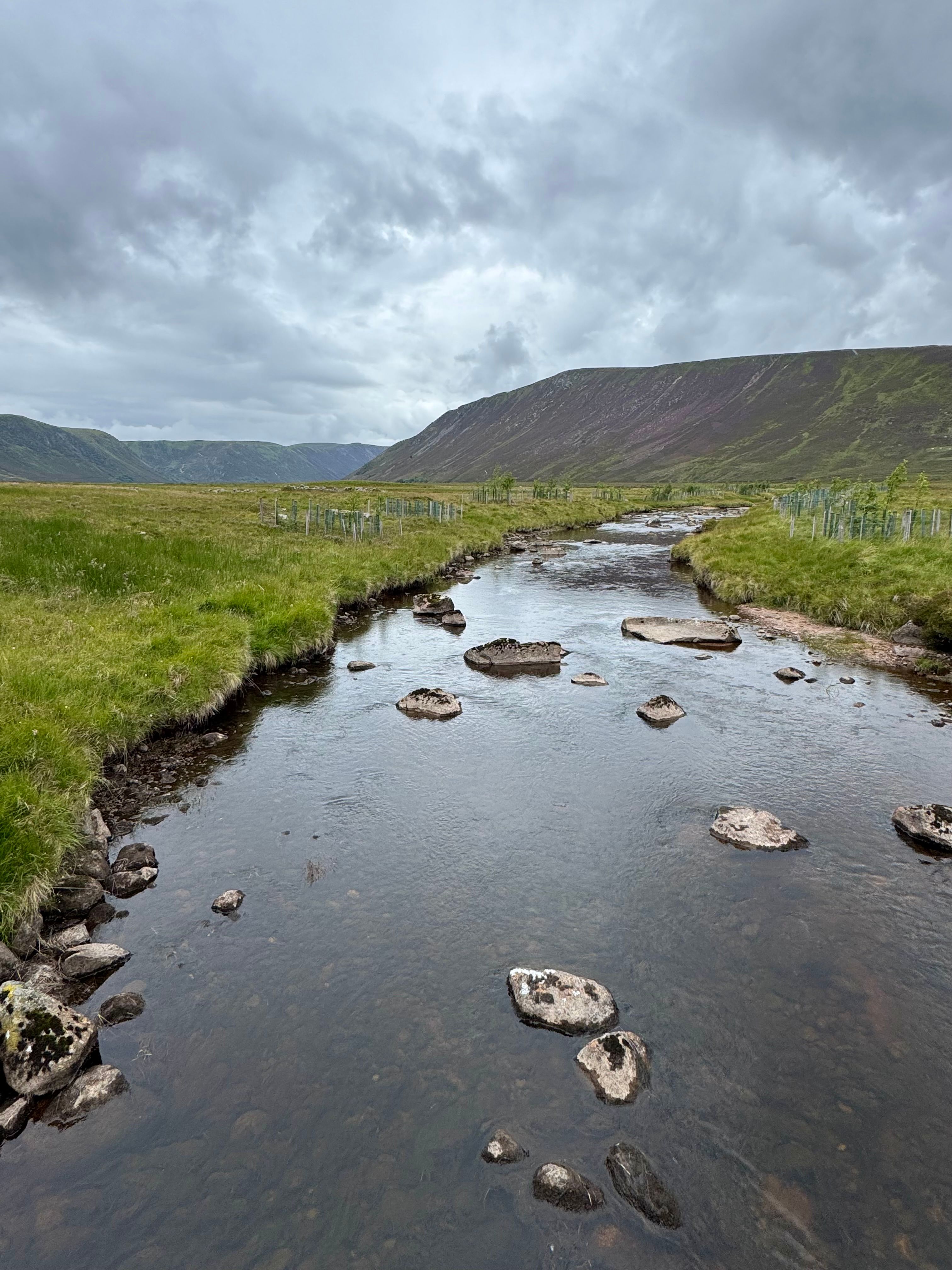 Scenic River Stream in Scottish Highlands · Free Stock Photo