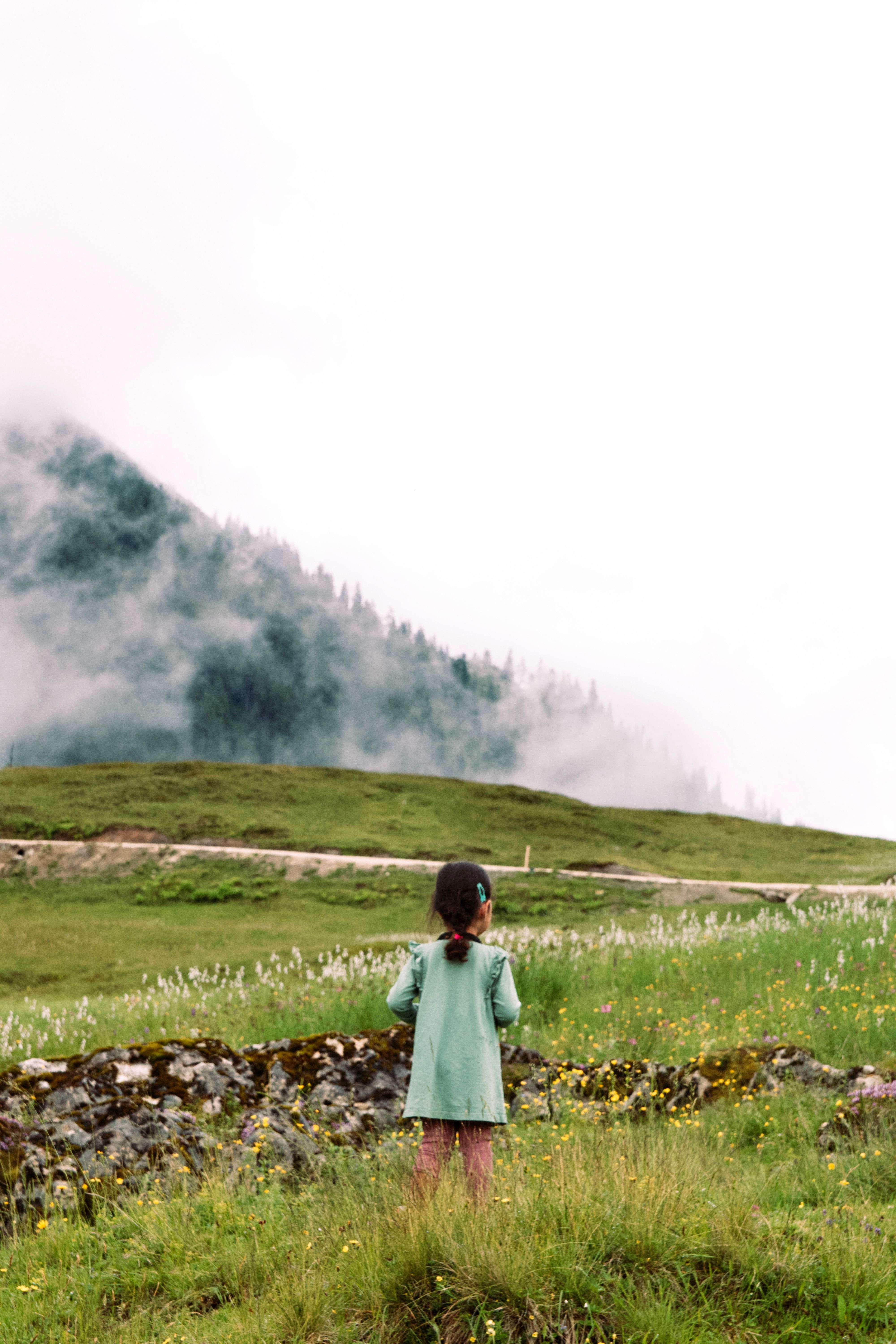 Young Girl Admiring Misty Mountain Scenery · Free Stock Photo