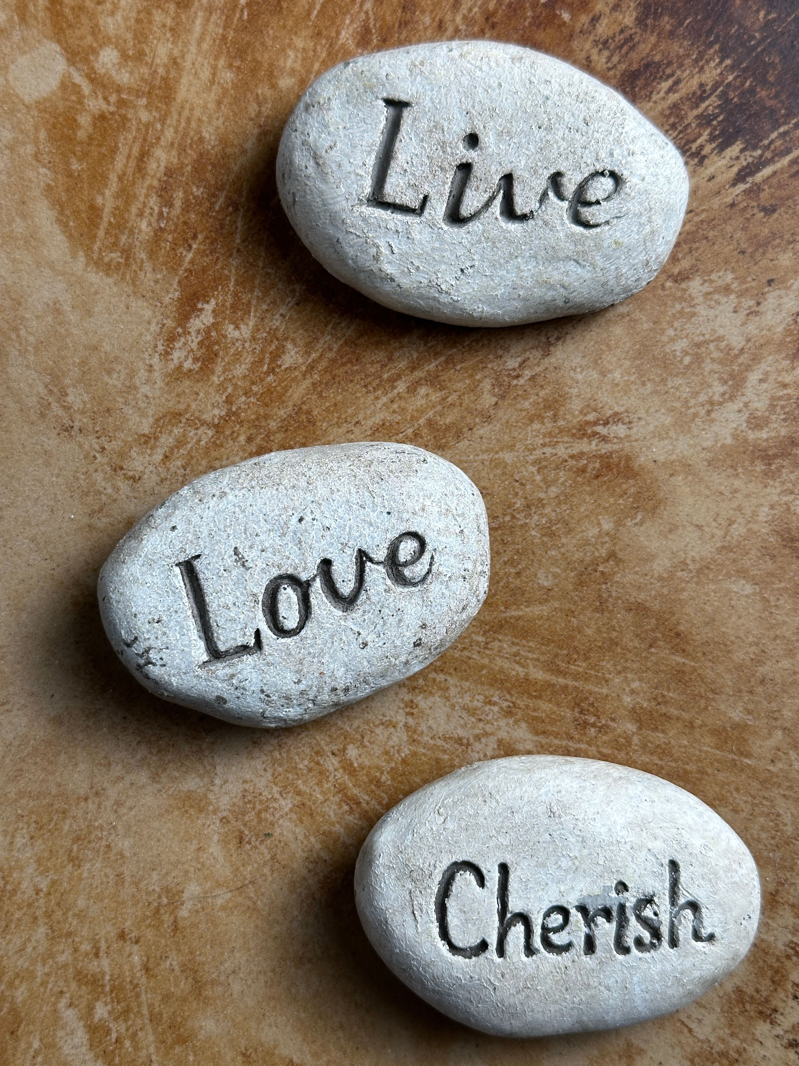 Honest Live Photos, Download The BEST Free Honest Live Stock Photos ...