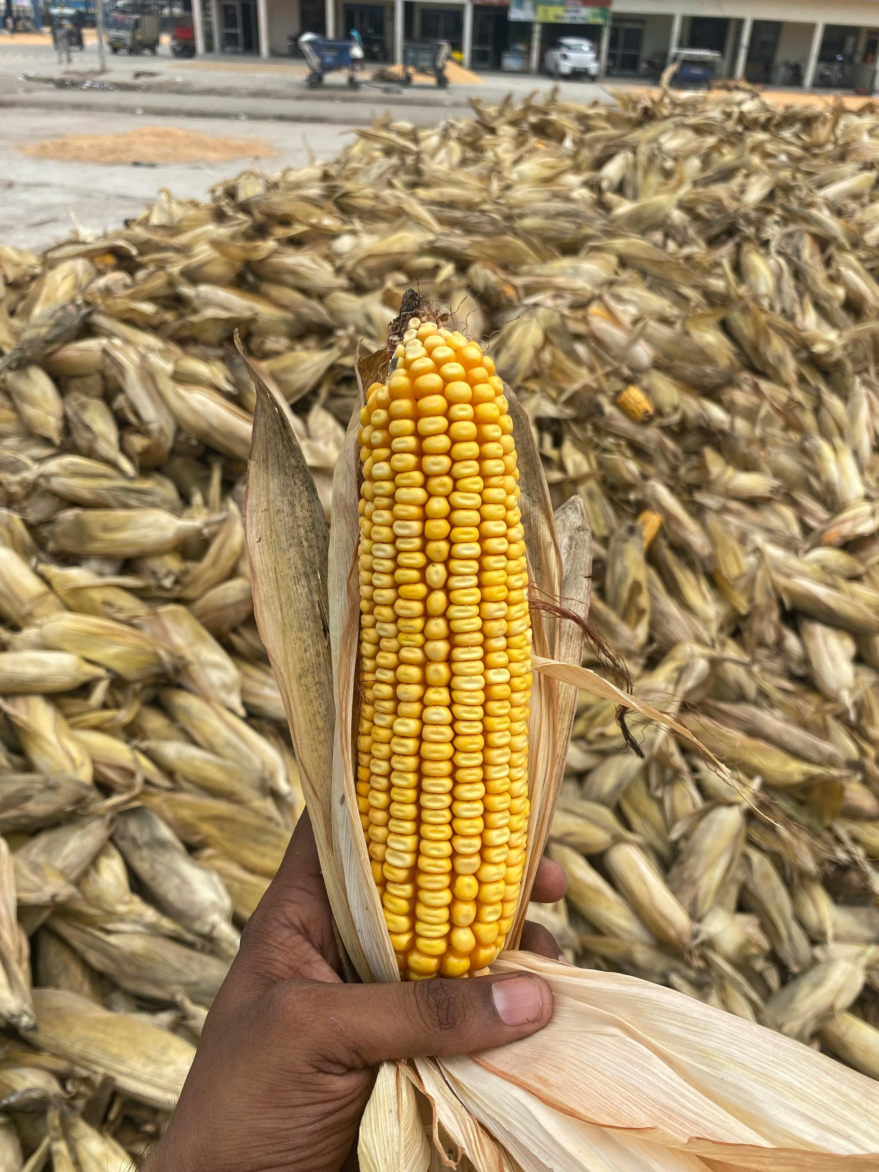 Nutrition Backgrounds Photos, Download The BEST Free Nutrition ...