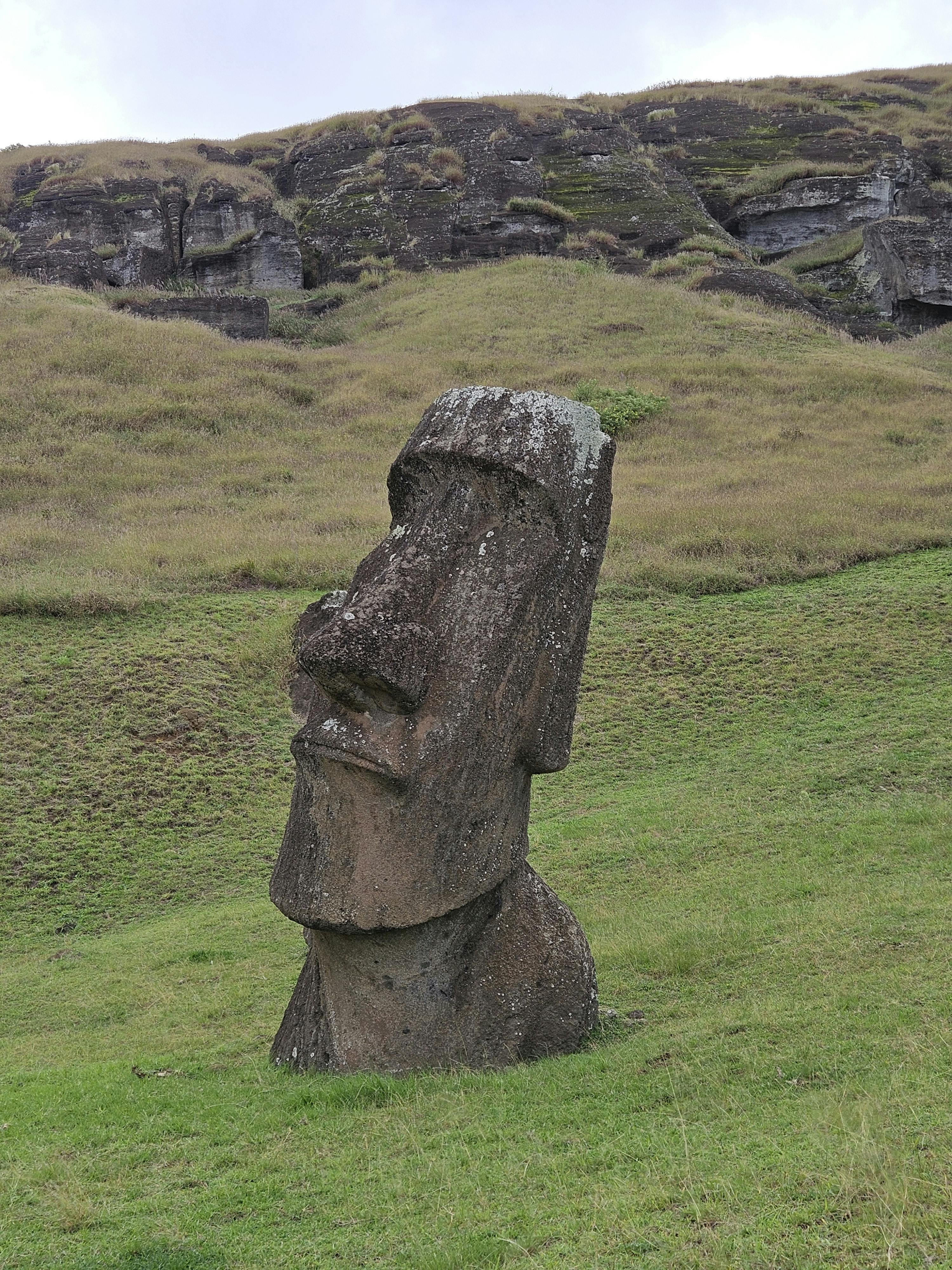 Moai Human Figures Statues on Green Grass Field · Free Stock Photo