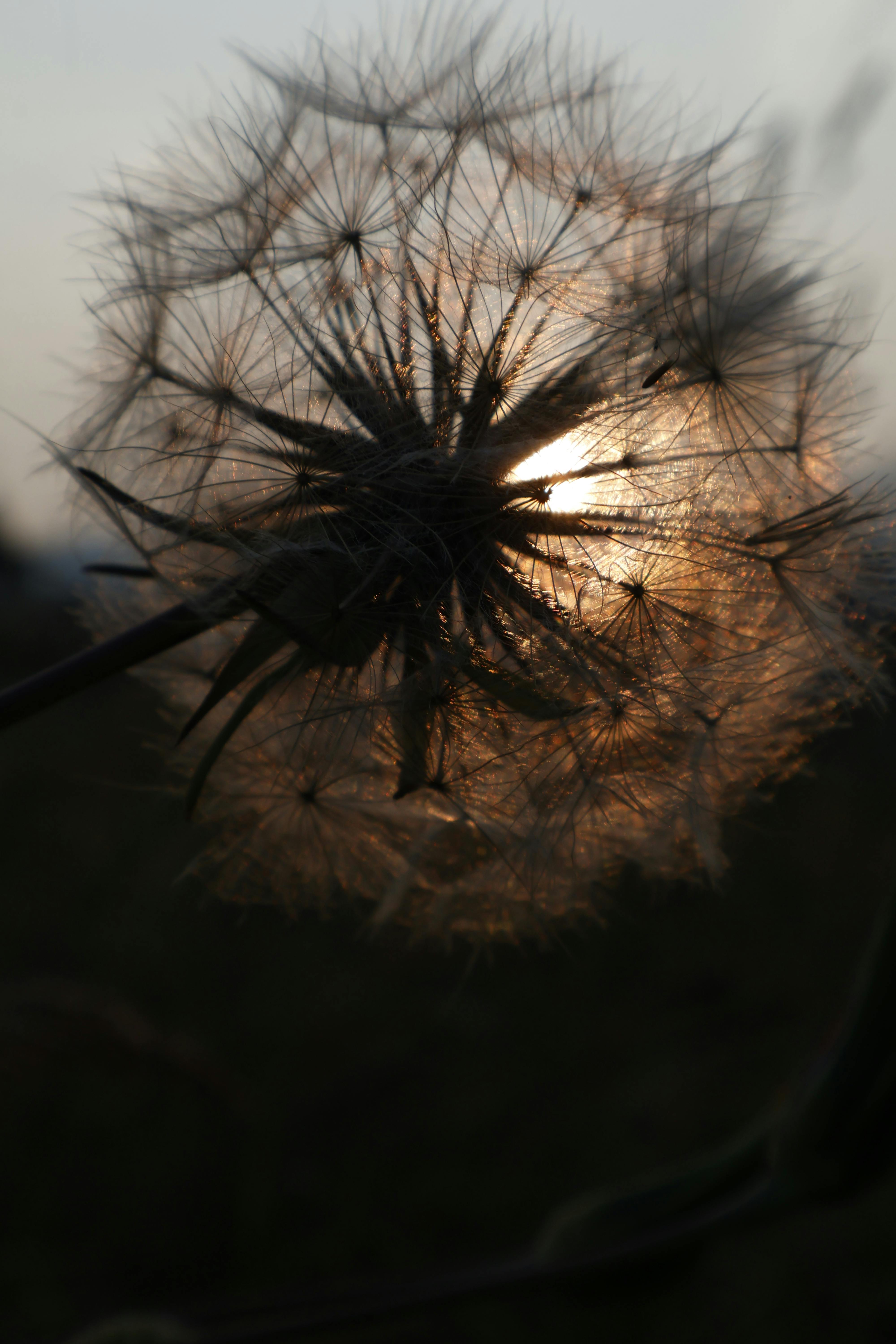 Calm Earthy Photos, Download The BEST Free Calm Earthy Stock Photos ...