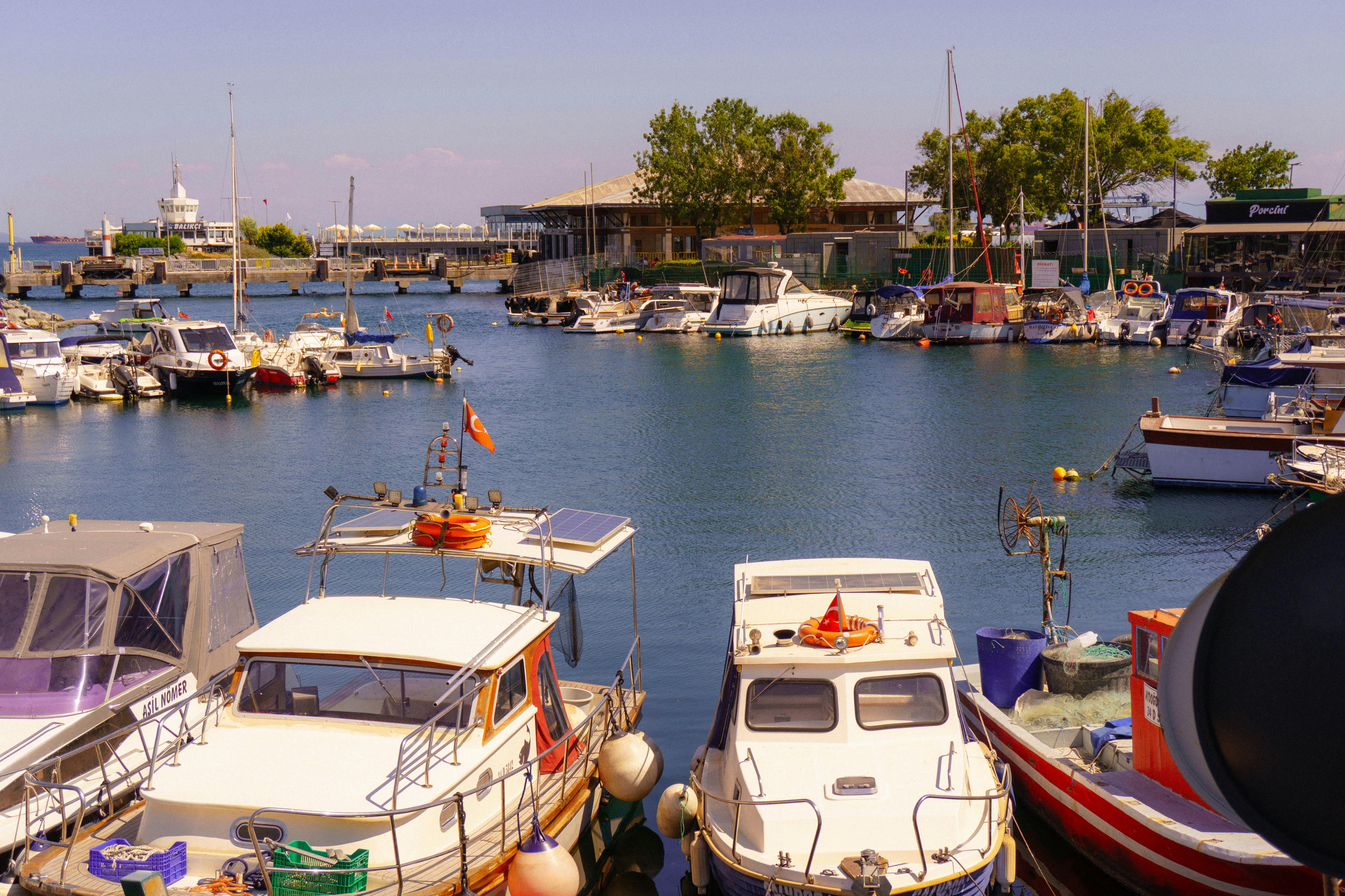 Manuscript Turk Photos, Download The BEST Free Manuscript Turk Stock ...