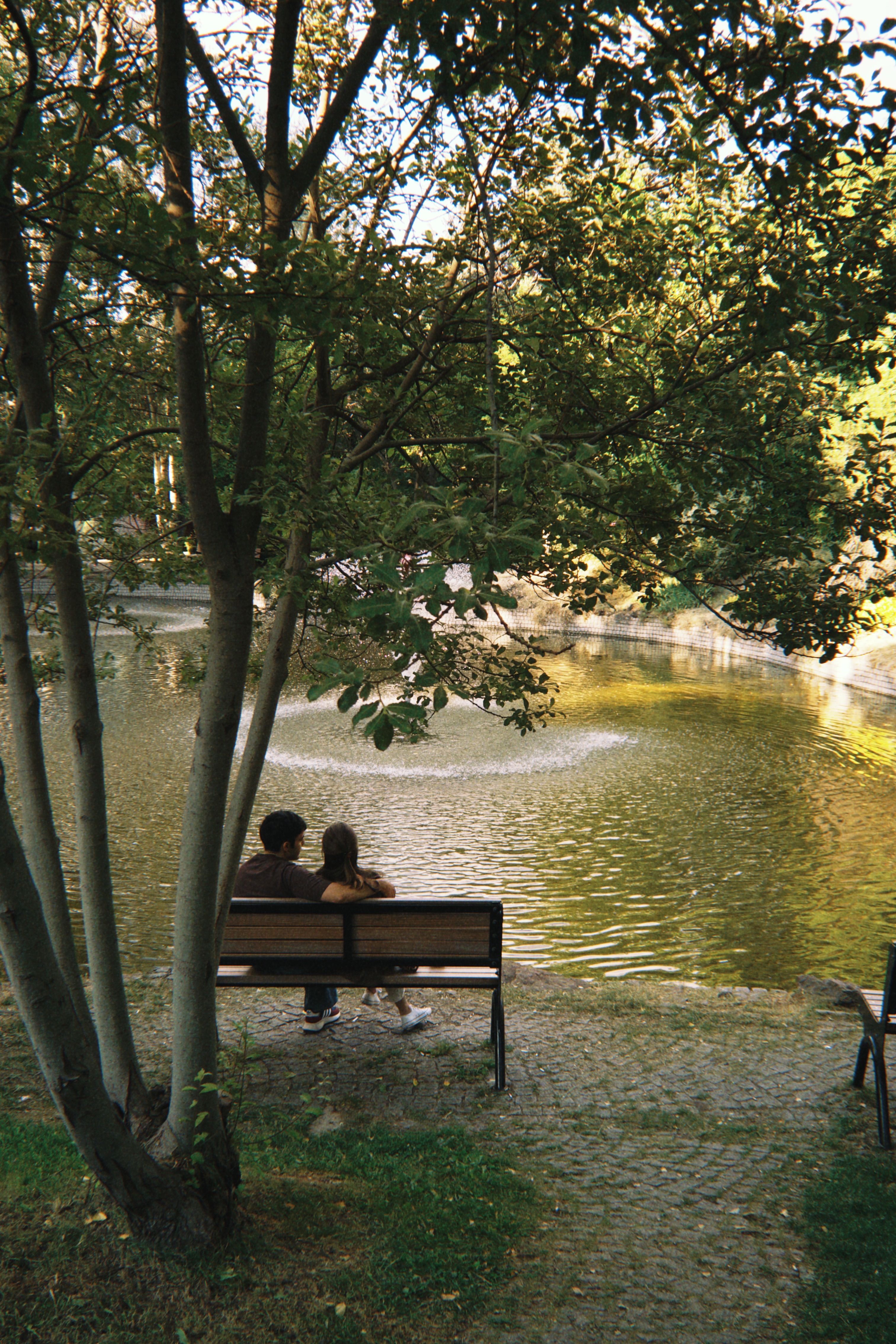 Serene Park Bench Overlooking Pond in Ankara · Free Stock Photo
