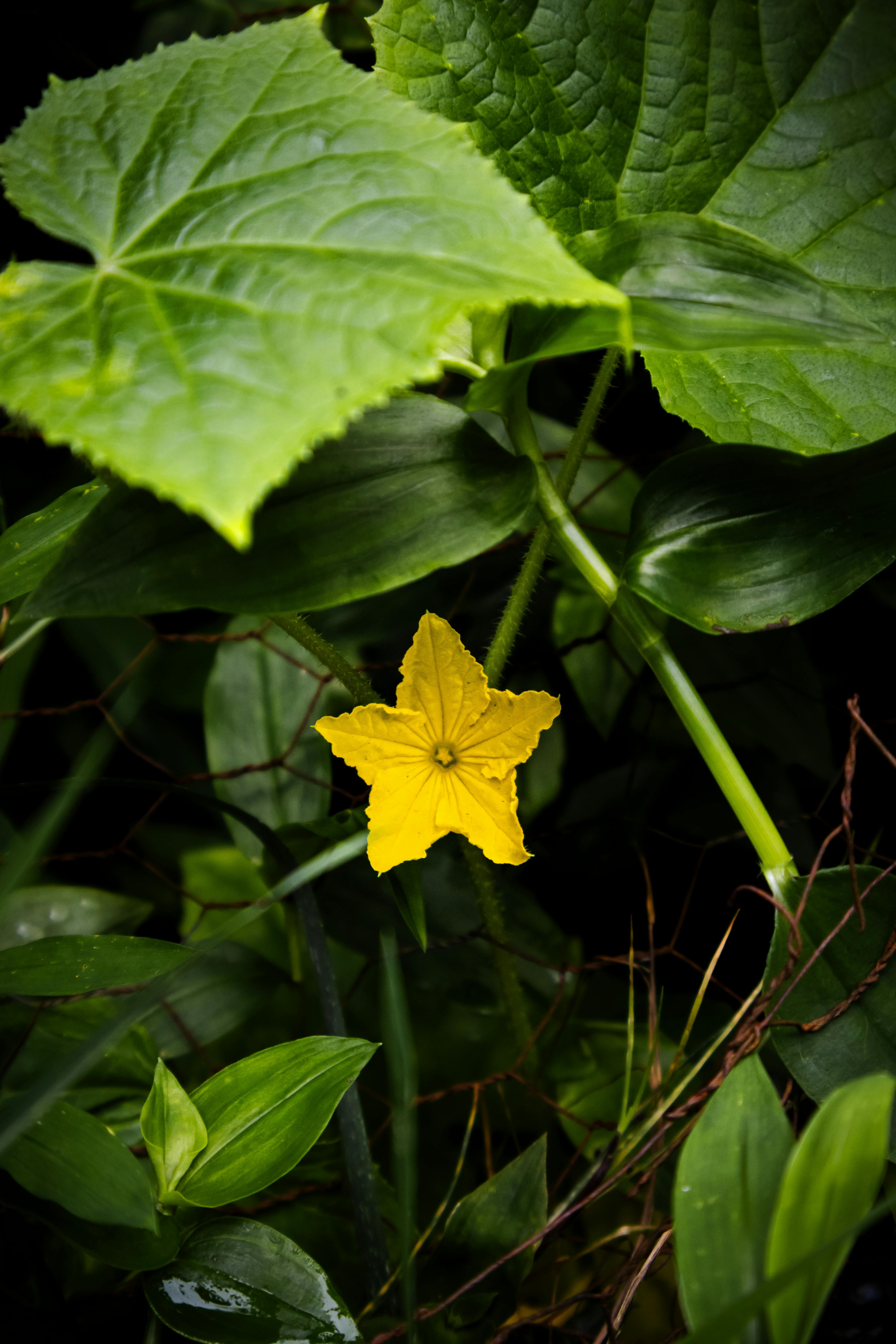 Artificial+Spiral+Hill+In+Sydney+Olympic+Park,+Australia Photos ...