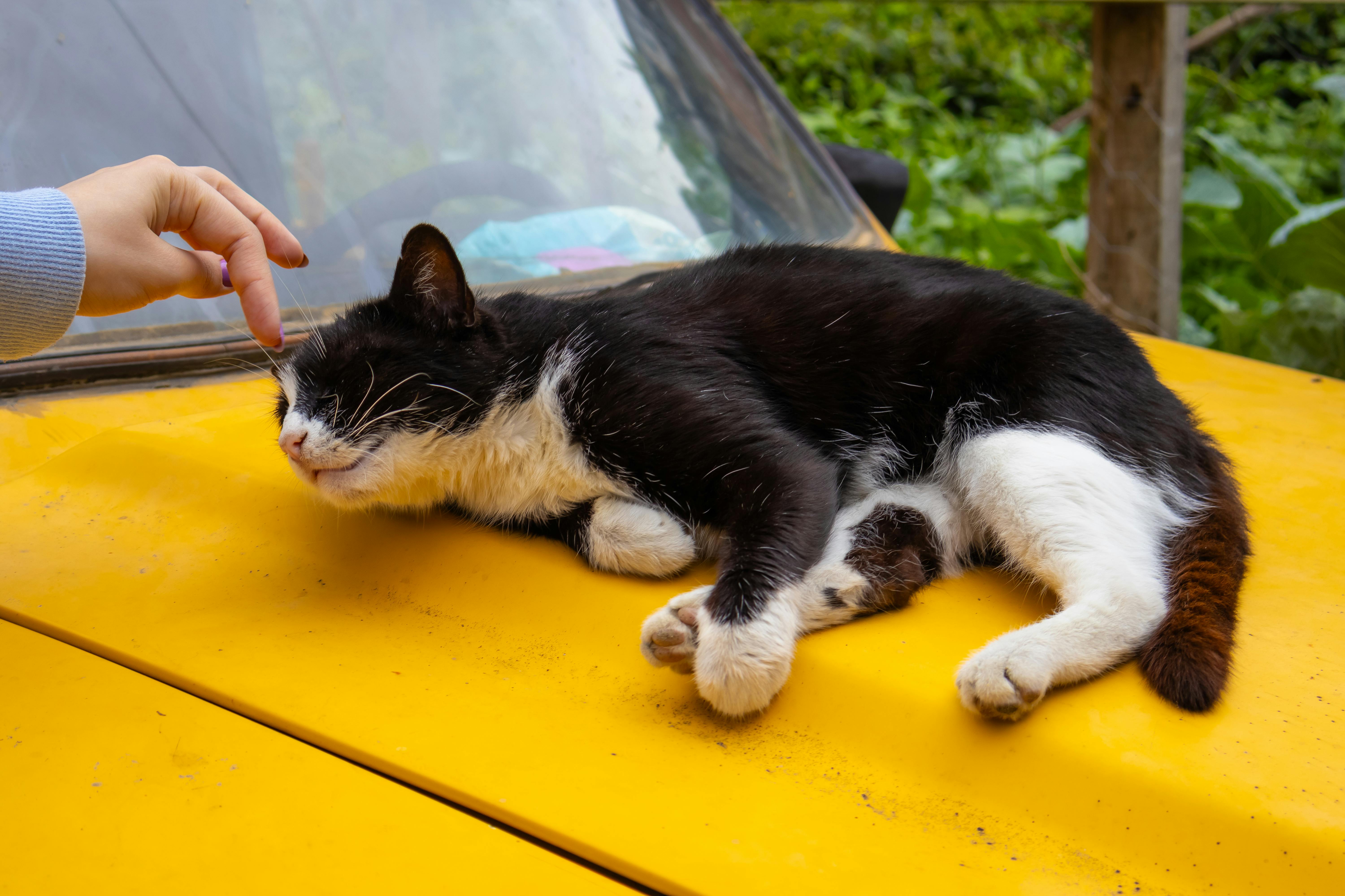 Humen Touch Photos, Download The BEST Free Humen Touch Stock Photos ...