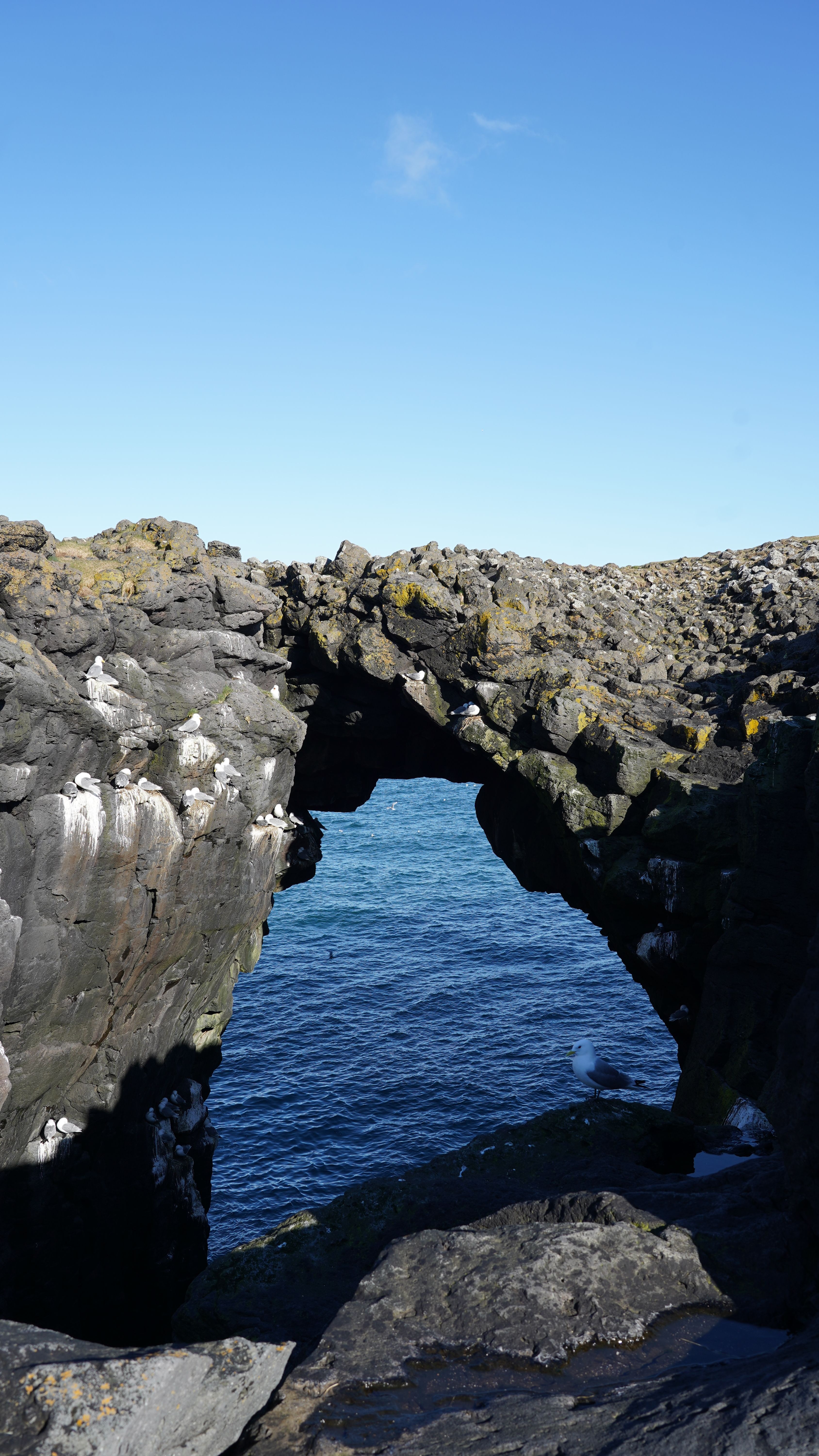 Dramatic Rock Arch Over Blue Sea in Iceland · Free Stock Photo