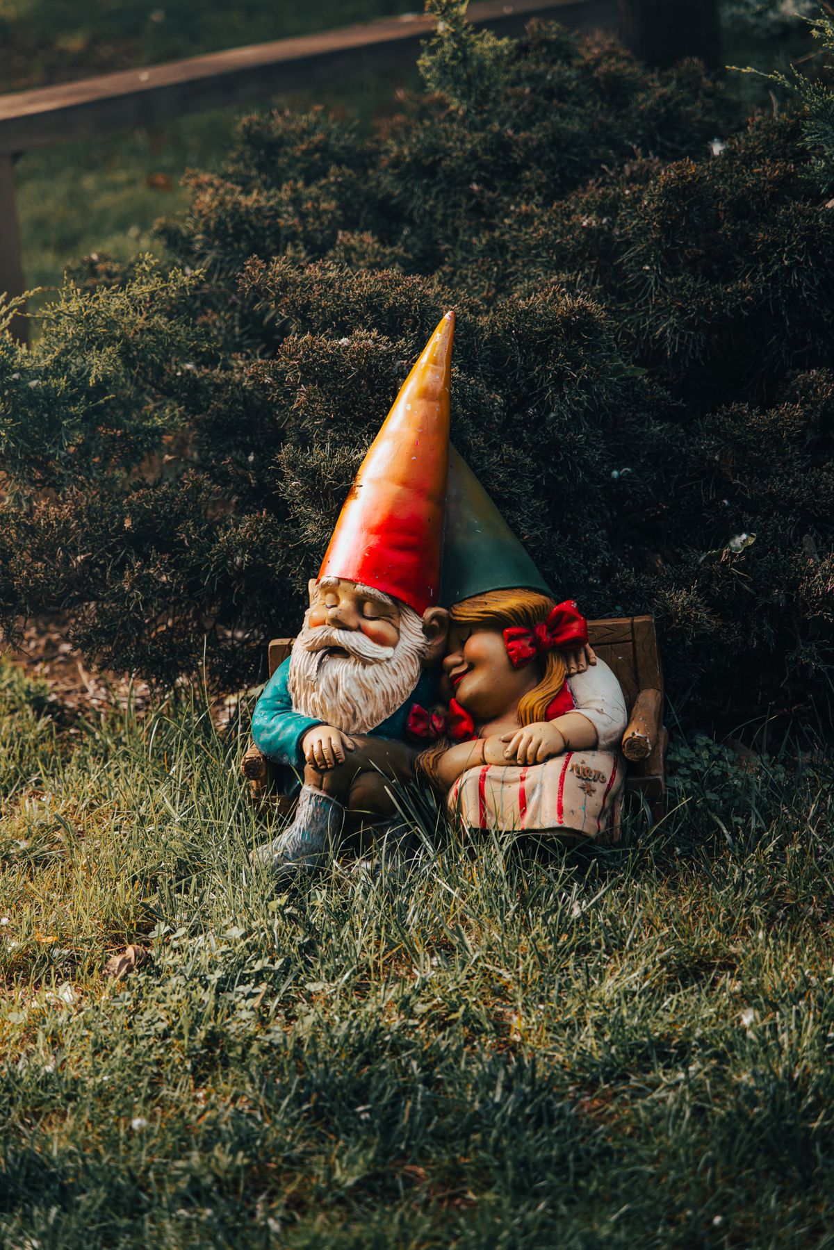 Gnomes Photos, Download The BEST Free Gnomes Stock Photos & HD Images