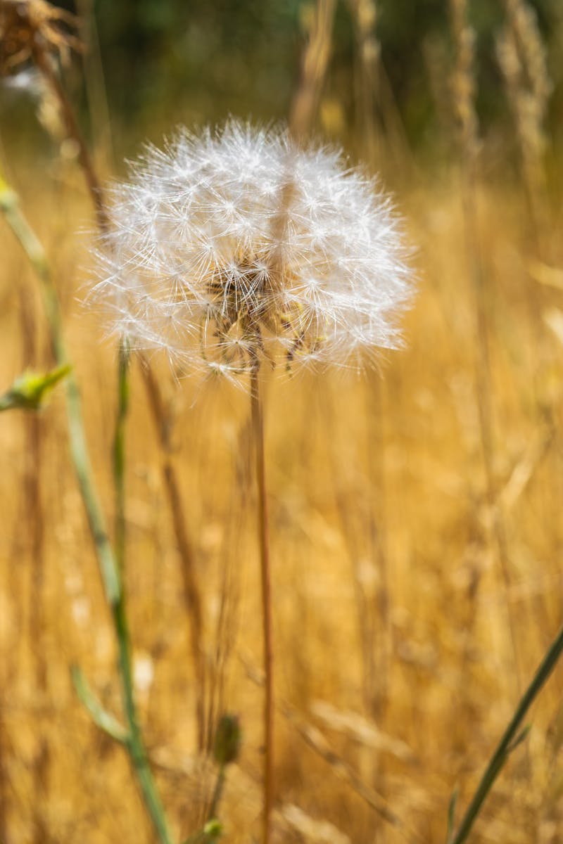 Royalty Free Background Photos, Download The BEST Free Royalty Free ...