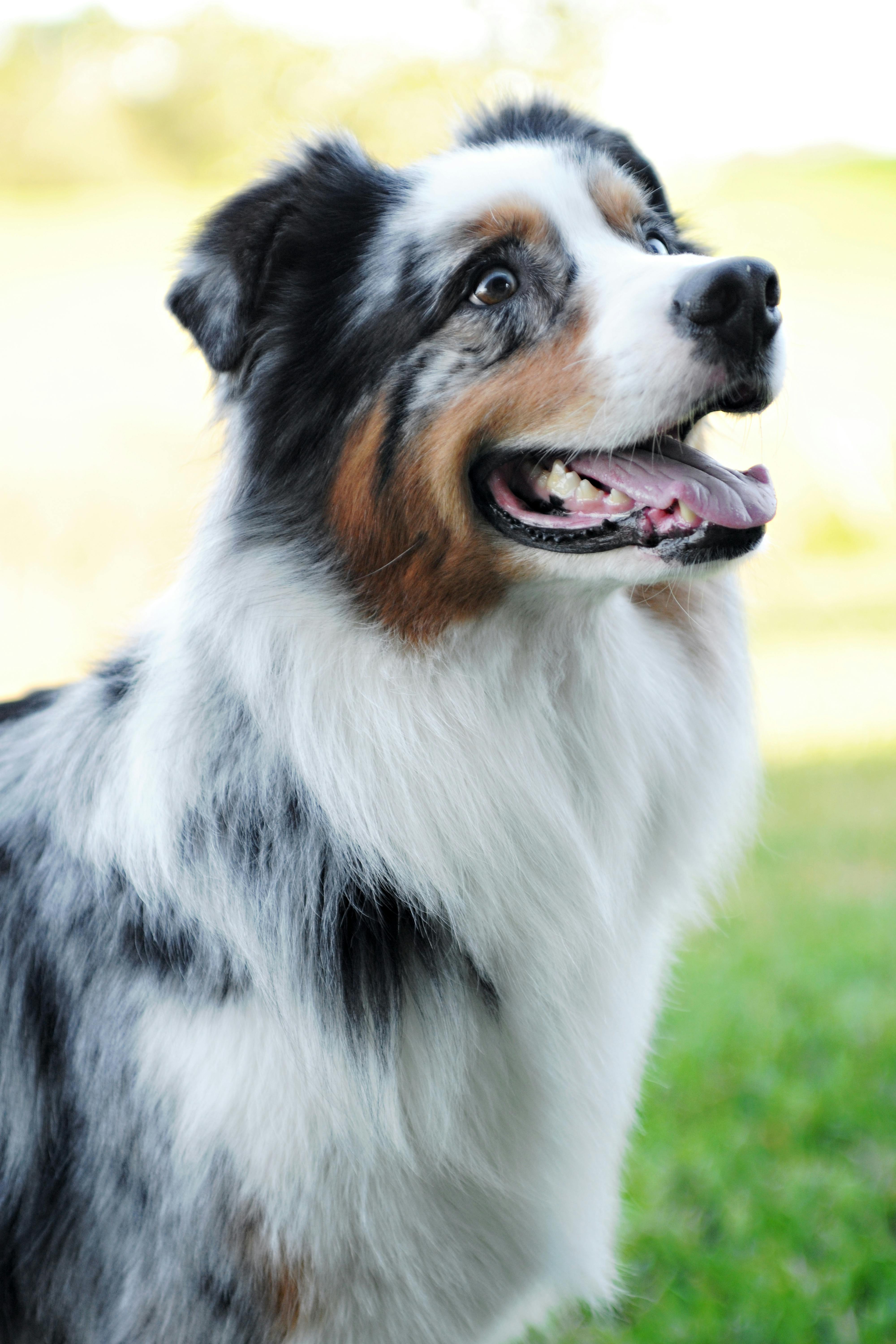 Smiley Face Black And White Photos, Download The BEST Free Smiley Face ...