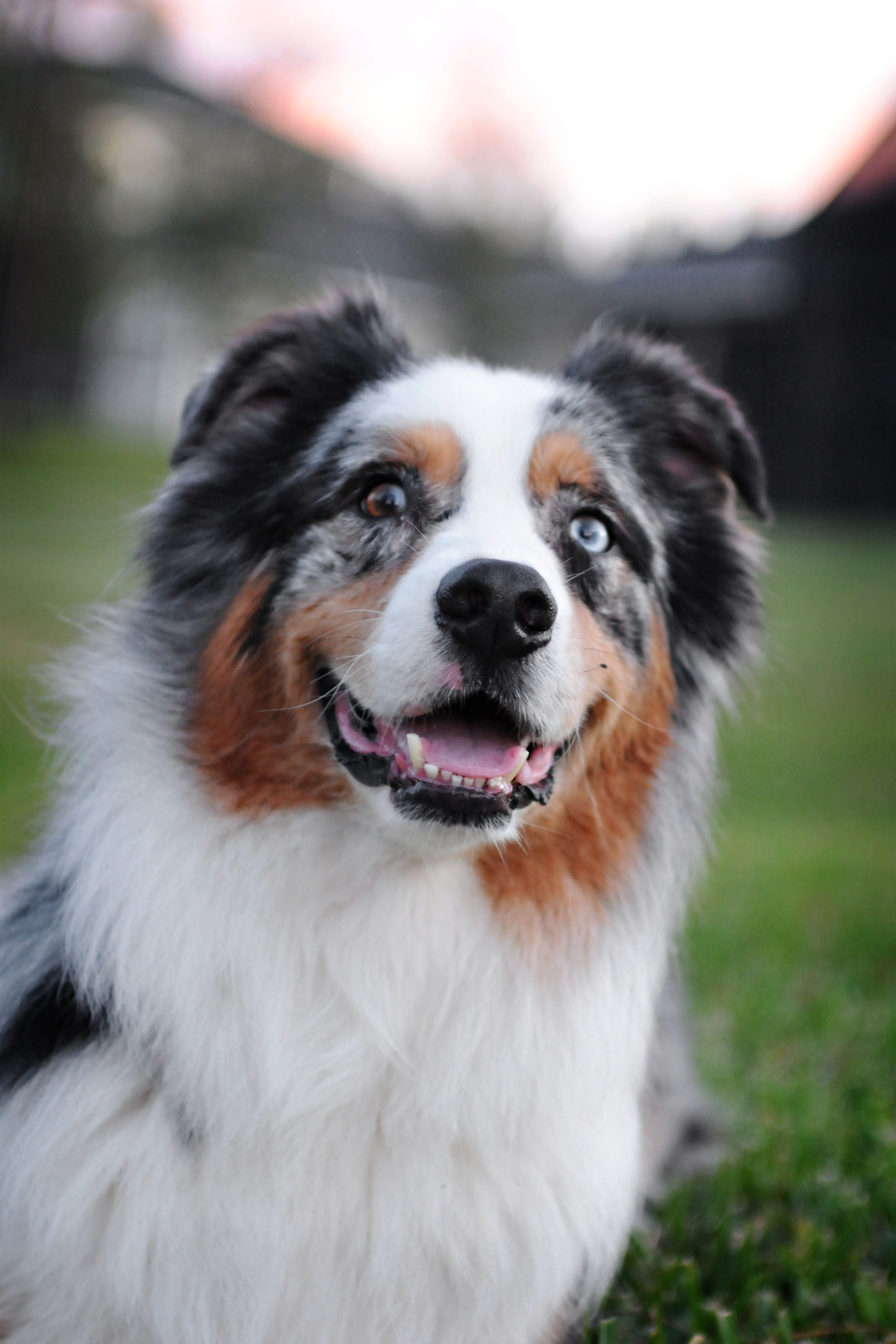 Friendly Photos, Download The BEST Free Friendly Stock Photos & HD Images