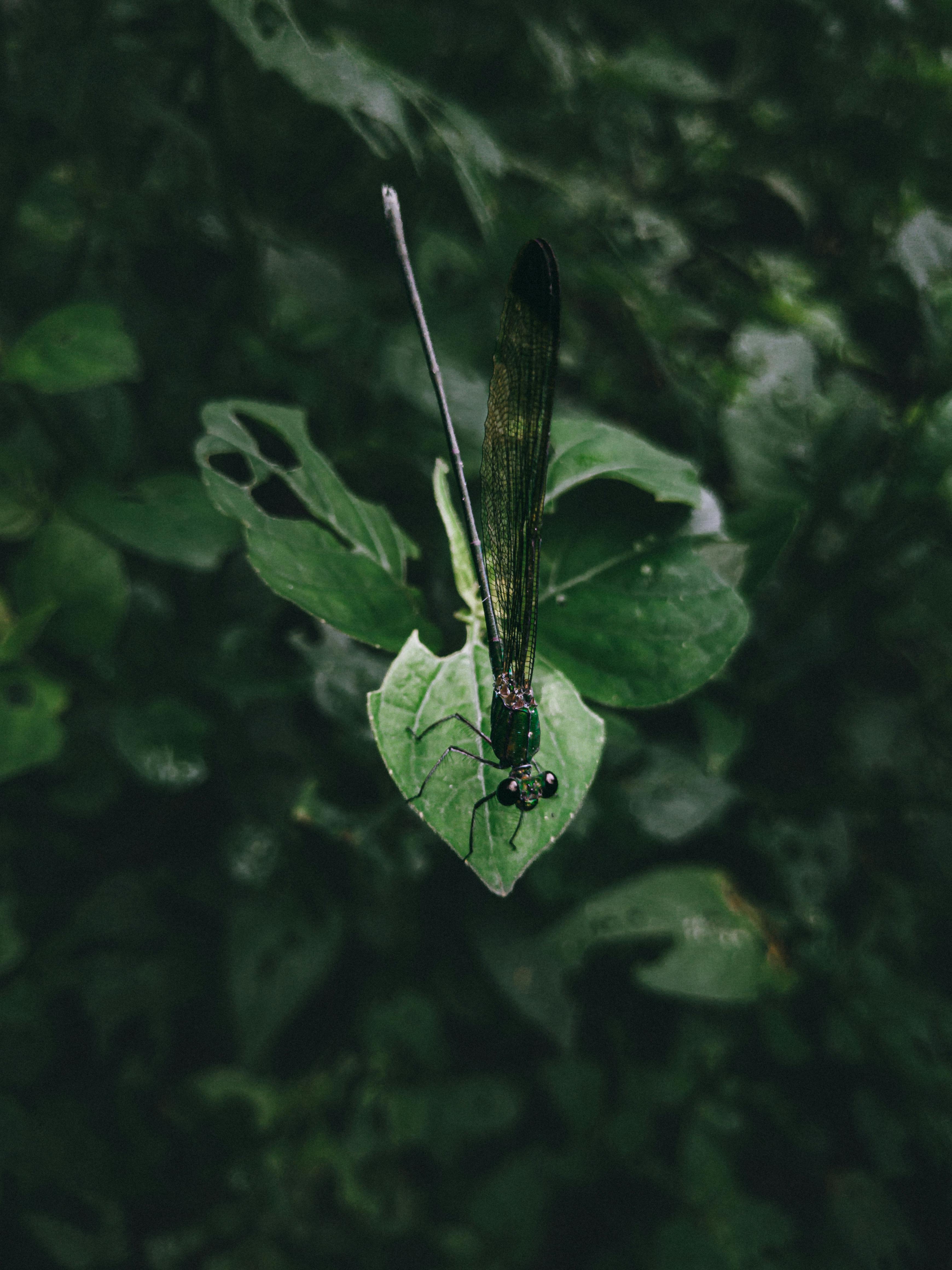 Raycast+Wallpapers Photos, Download The BEST Free Raycast+Wallpapers ...