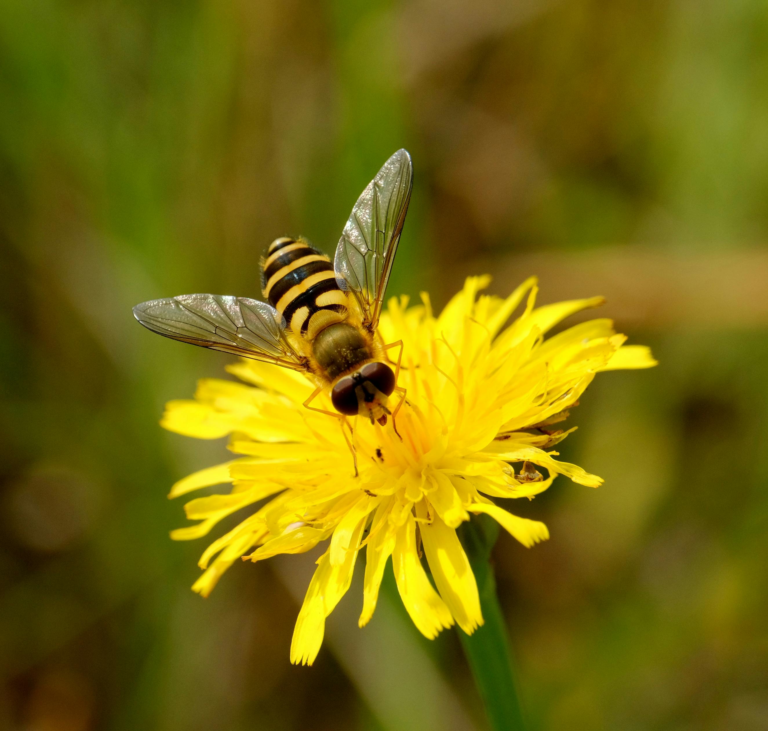 1584 X 396 Photos, Download The BEST Free 1584 X 396 Stock Photos & HD ...