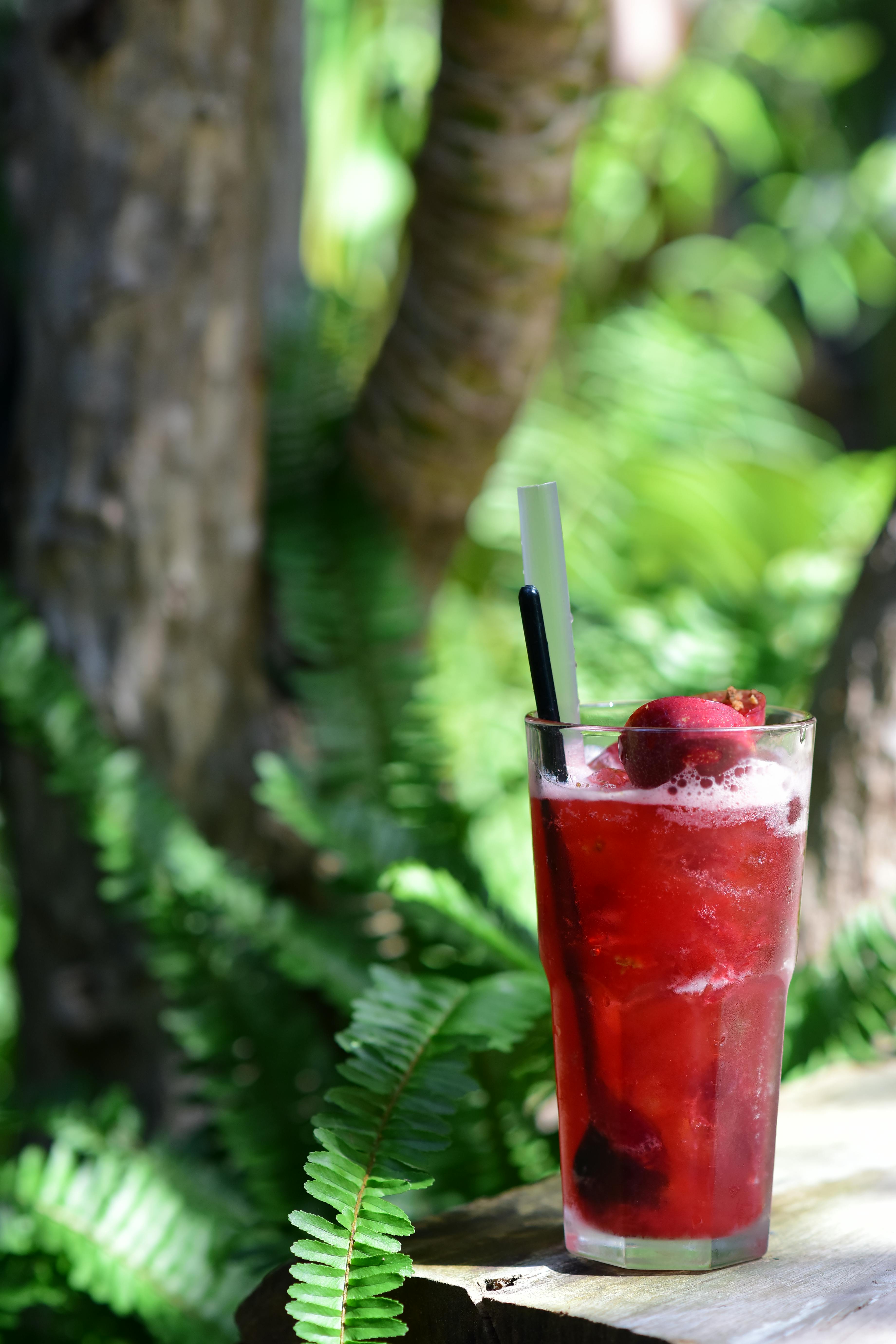 Refreshing Red Berry Beverage in Greenery · Free Stock Photo